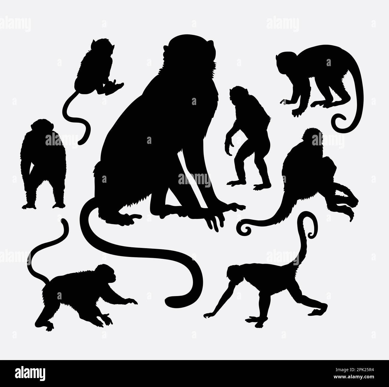 Ape monkey collection Stock Vector Images - Alamy