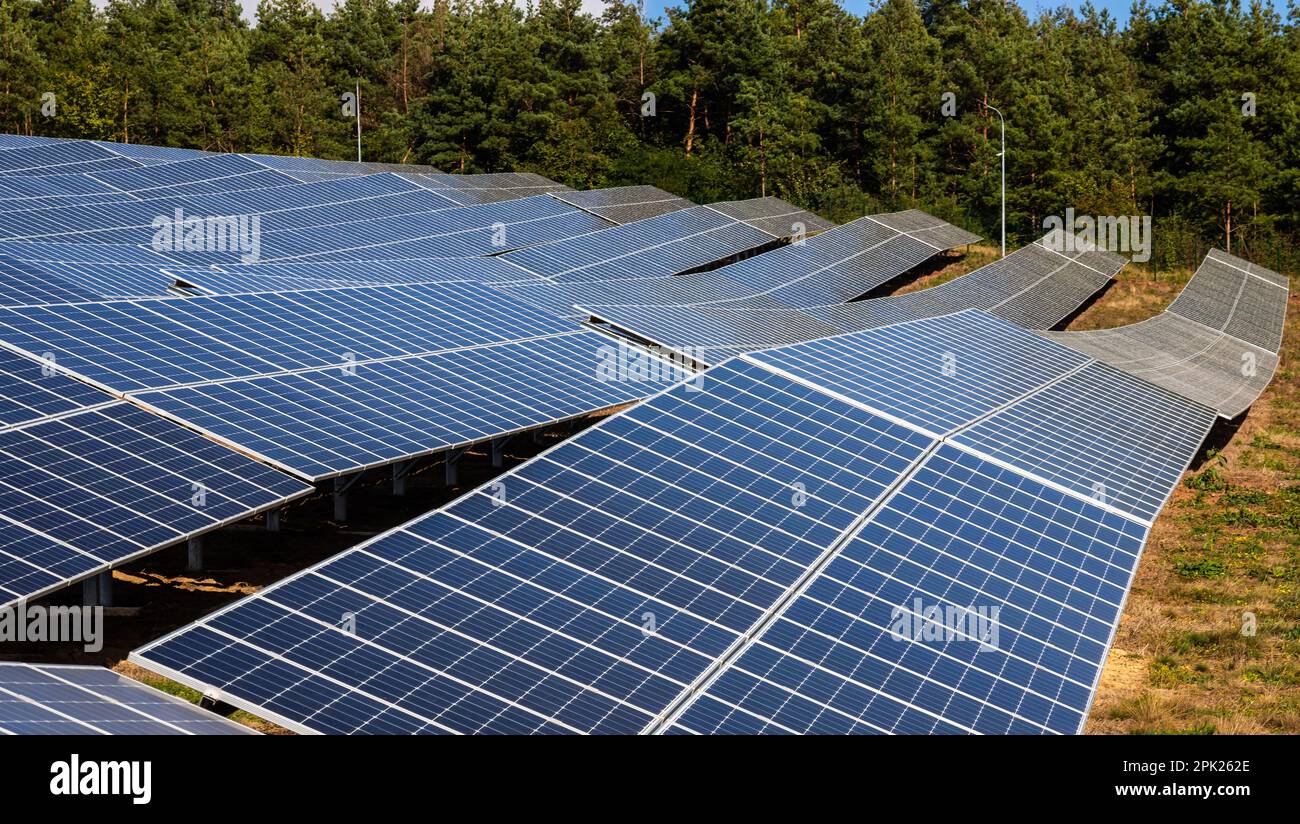 Solar panels in Large Photovoltaic power station, solar park, Renewable ...