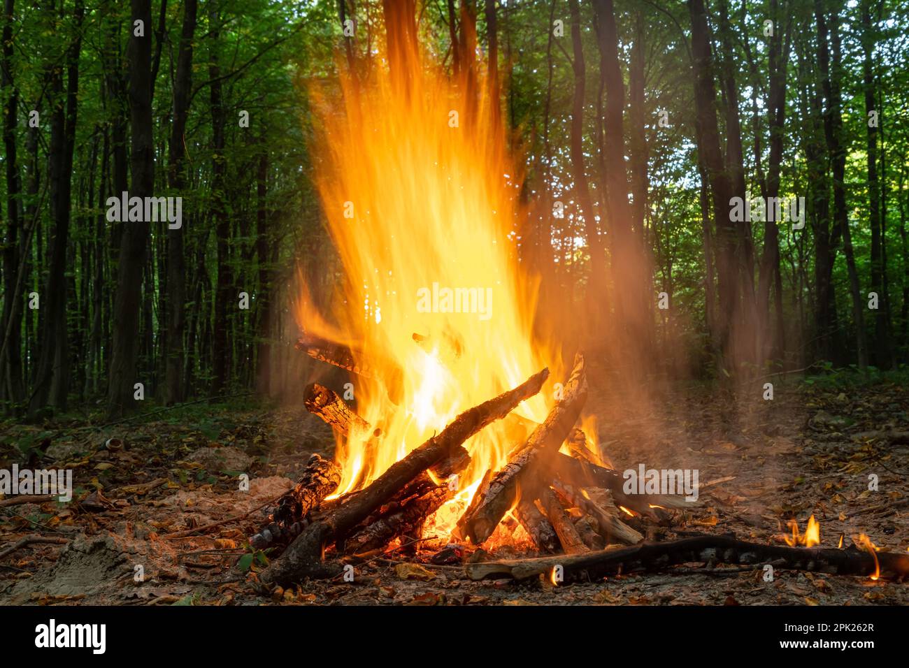 Burning fire. The bonfire burns in the forest. Texture of burning fire ...