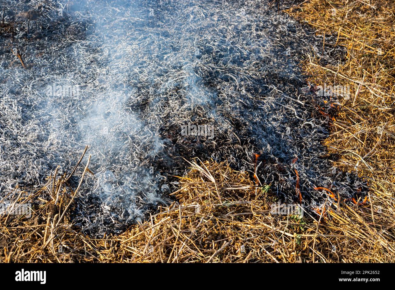 Close-up background of fire is rising from burning straw to black ash ...