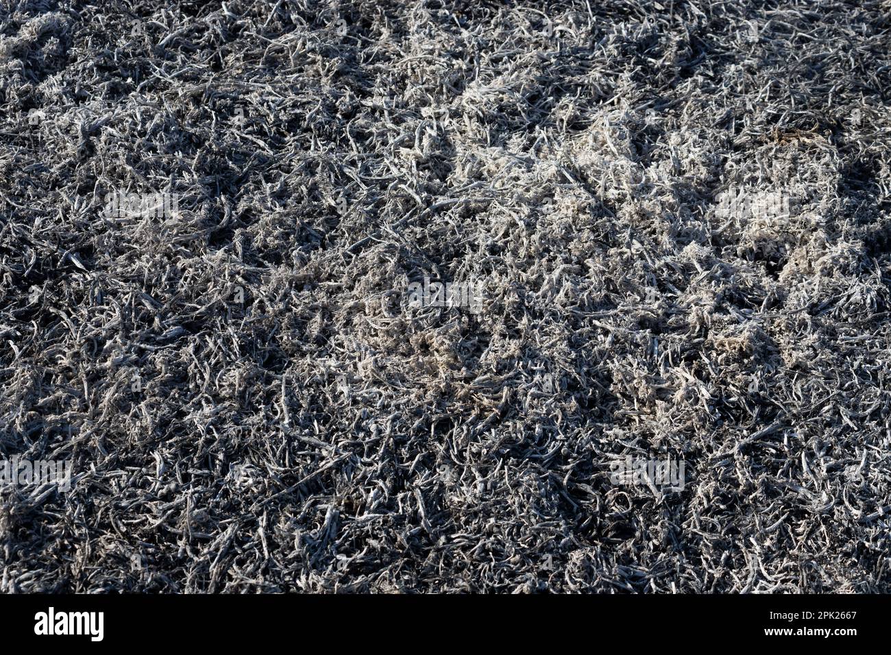 Close-up background of fire is rising from burning straw to black ash ...