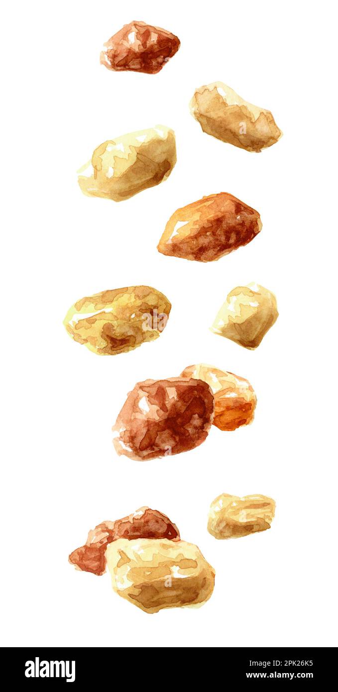 Falling Sugar crystals. Hand drawn watercolor illustration, isolated on ...