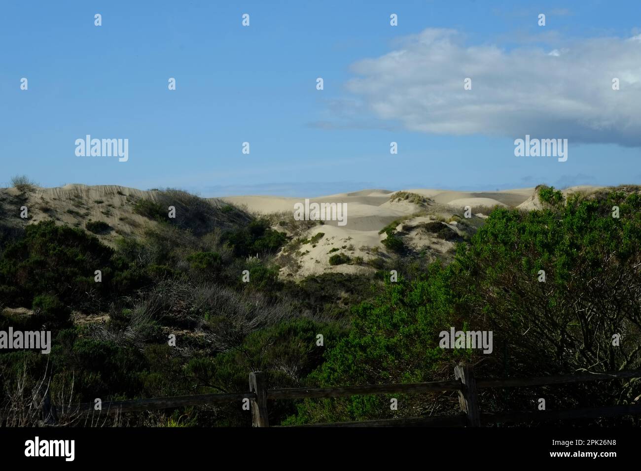 Oceano Dunes, California, USA Stock Photo - Alamy