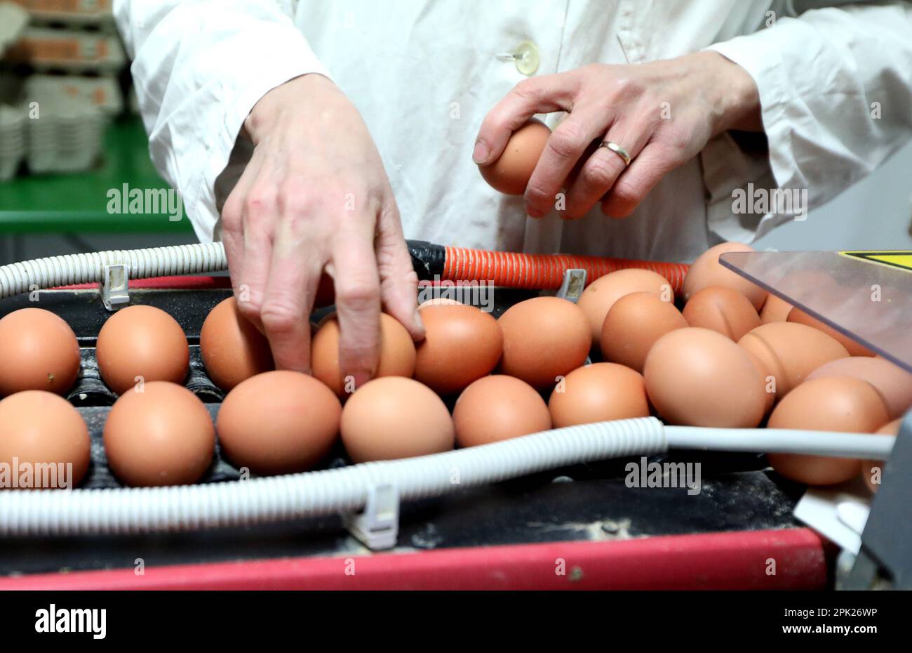 Family surrounding table hi-res stock photography and images - Alamy
