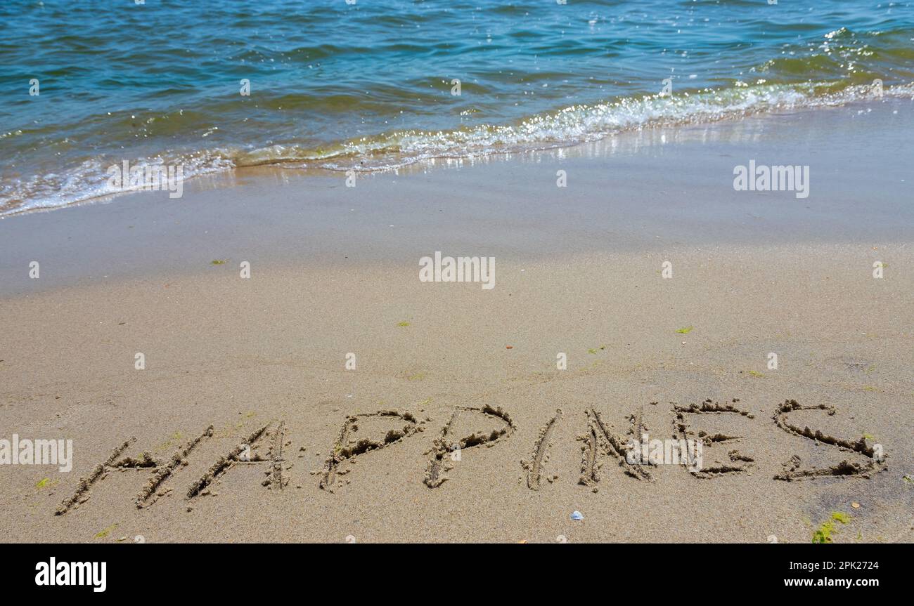 The words Happiness is written in the sand on the beach with a wave ...