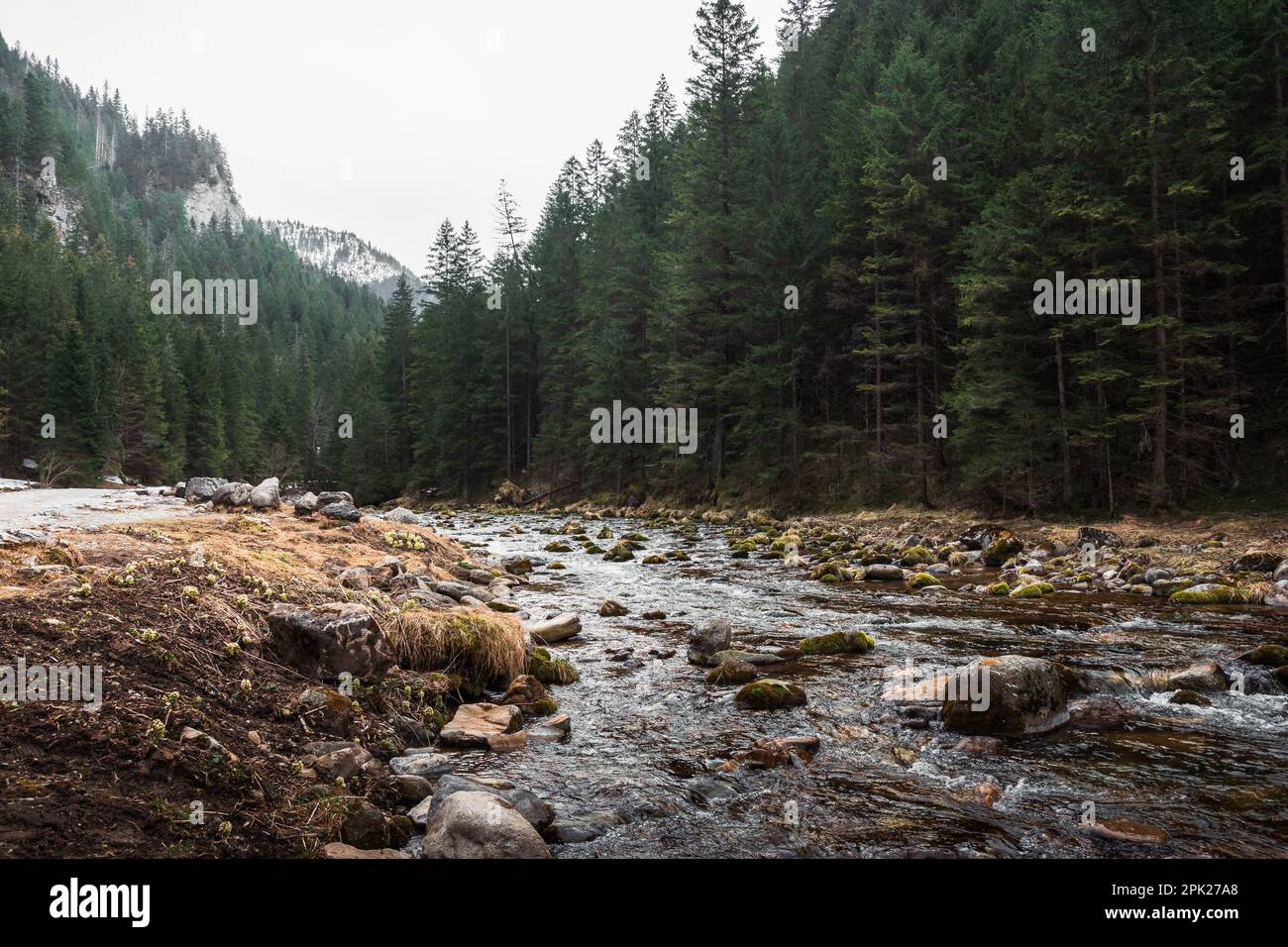 Beautiful mountain valley in early spring. The river in the foreground ...