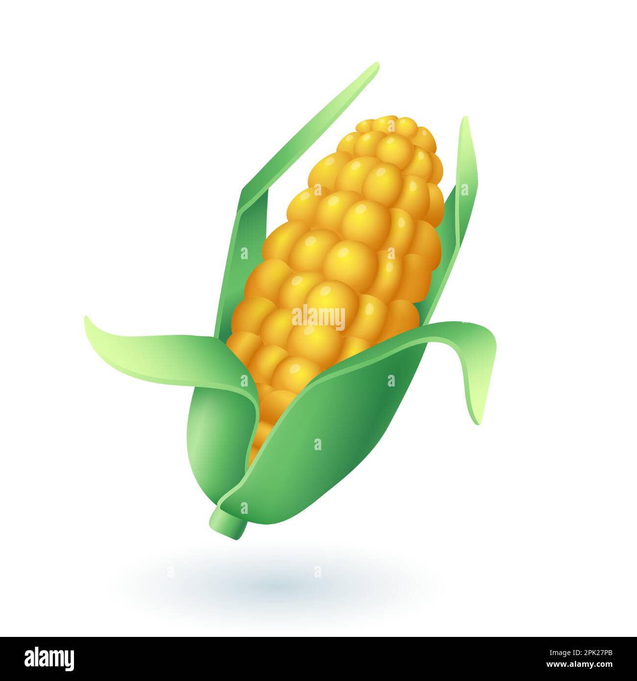 Corn Cob Icon