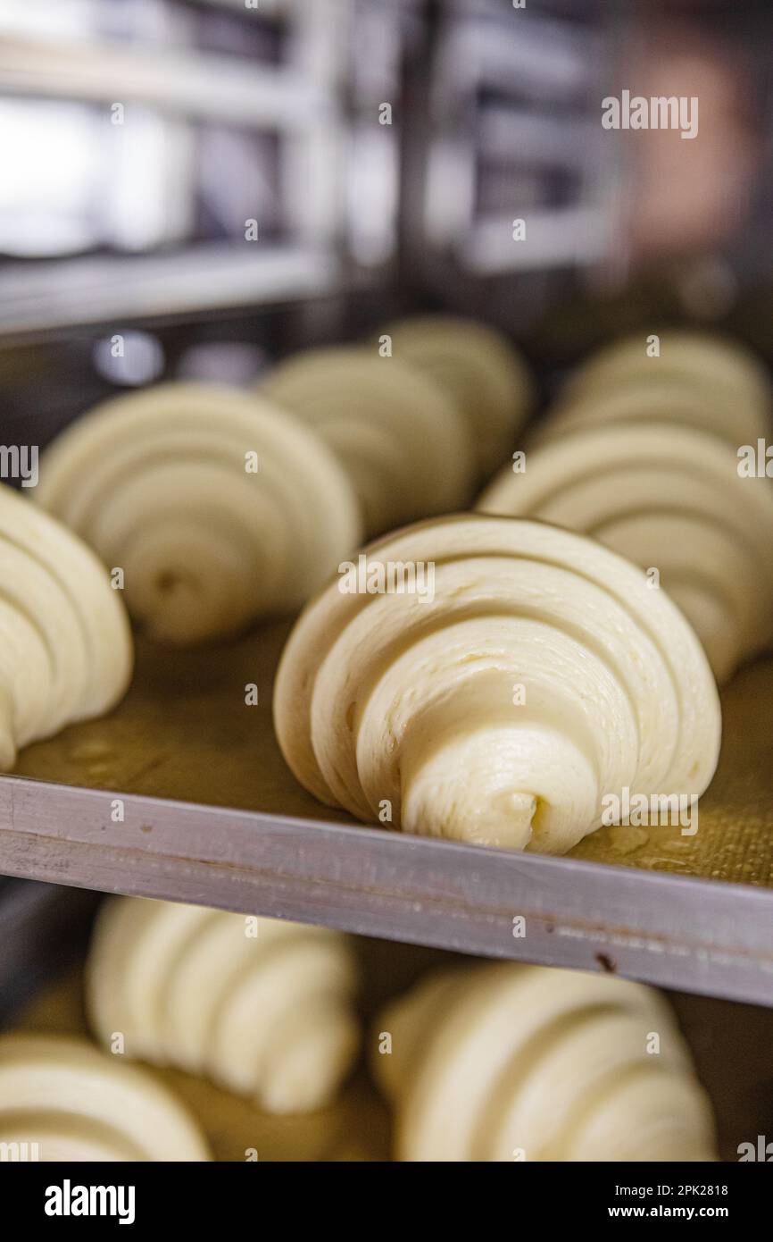 Proofed croissants on baking sheet Stock Photo - Alamy