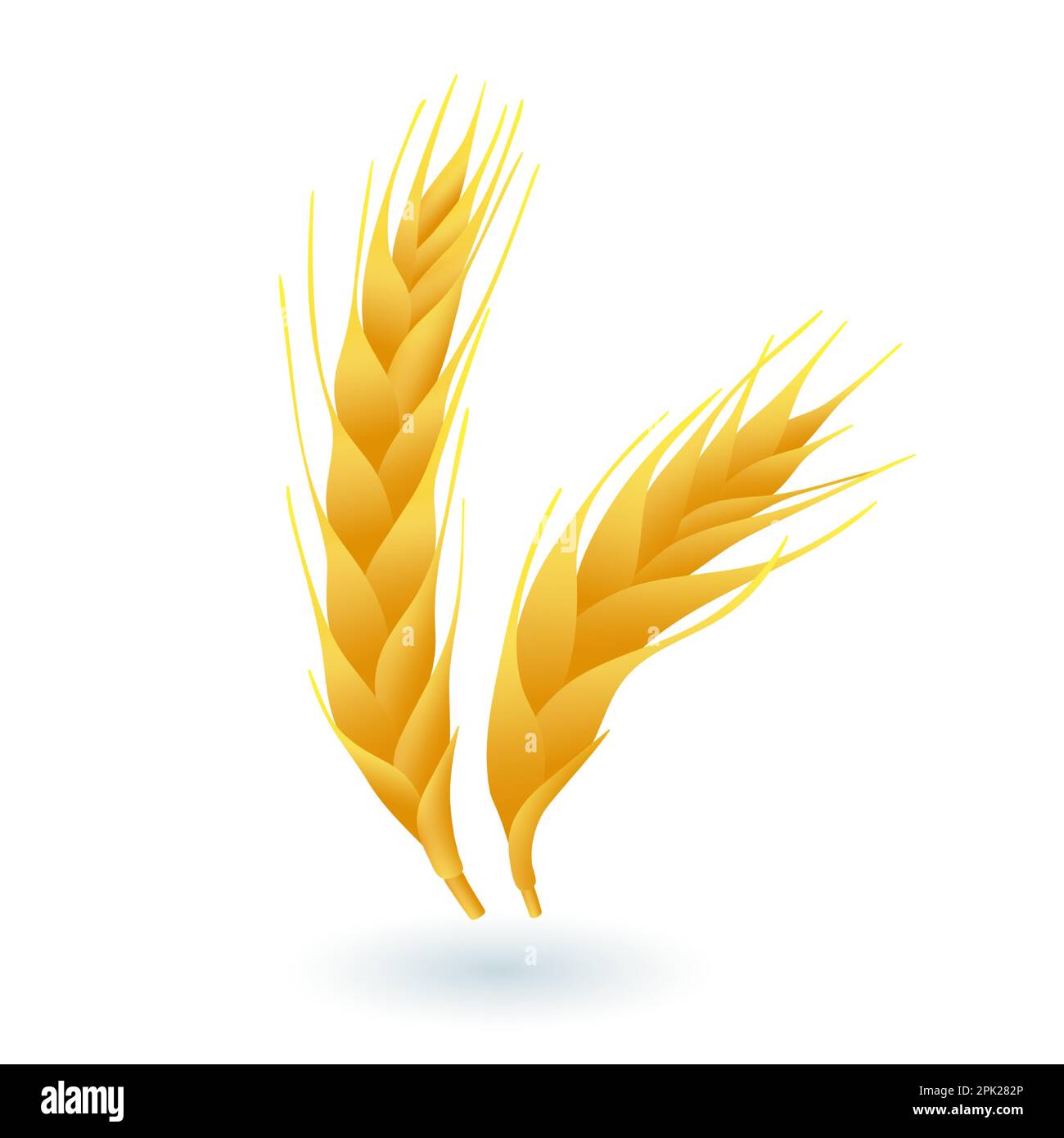 3d cartoon style ears of wheat icon on white background Stock Vector ...