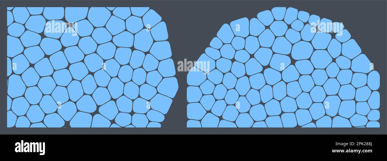 Abstract science background with fantasy cells. Cross section or ...