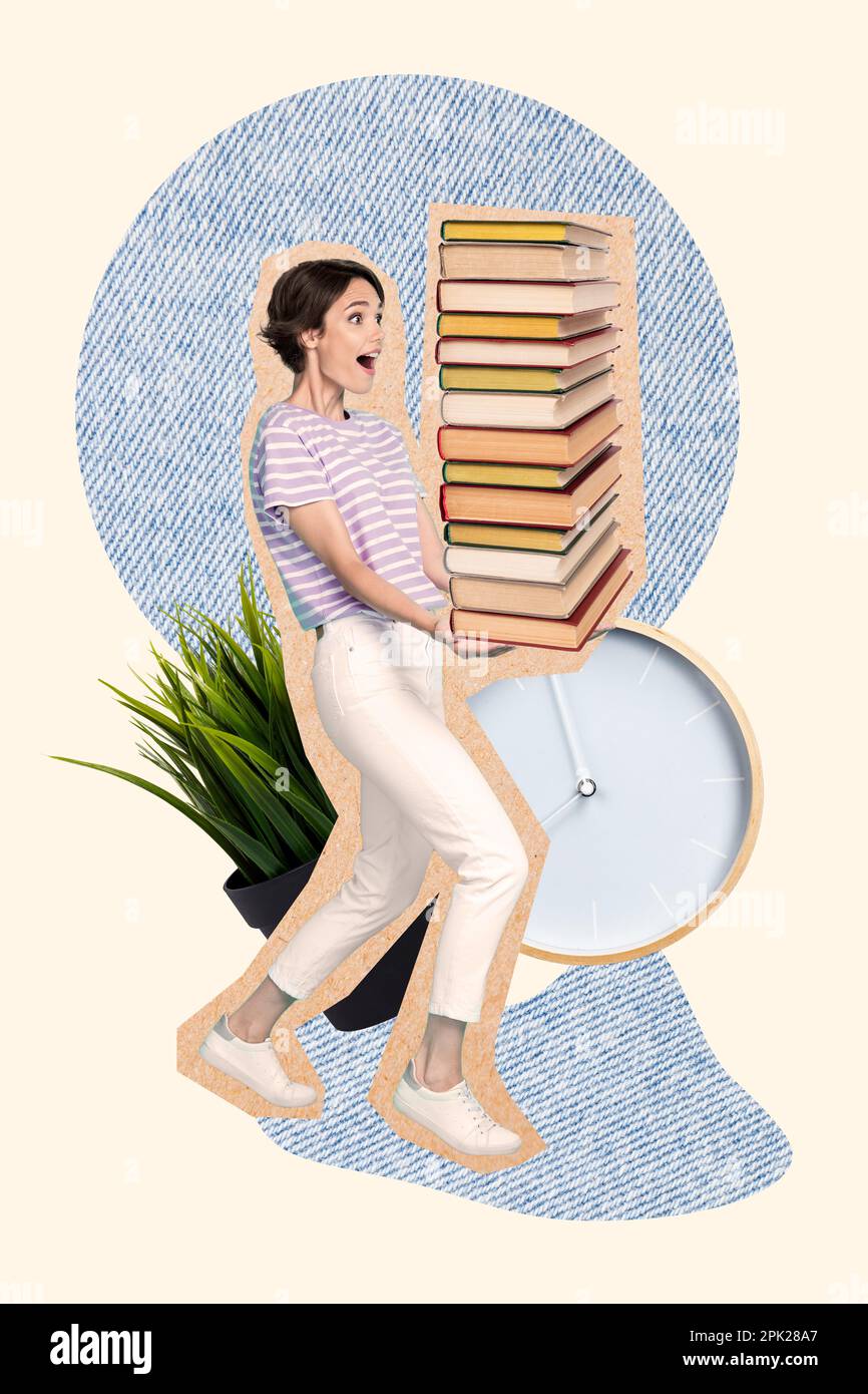 Vertical collage photo picture poster artwork of positive girl carry ...