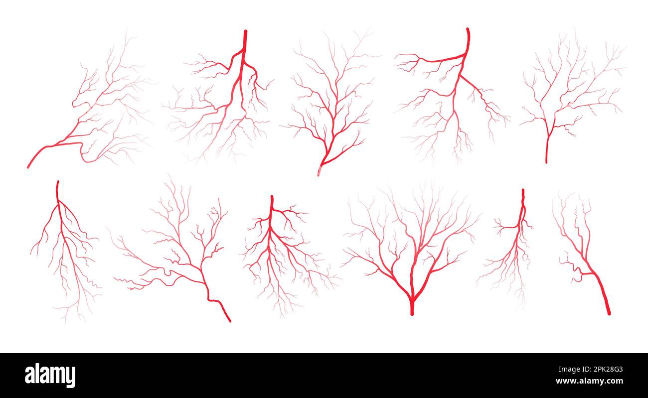 Human eye blood veins vessels silhouettes vector illustration set ...