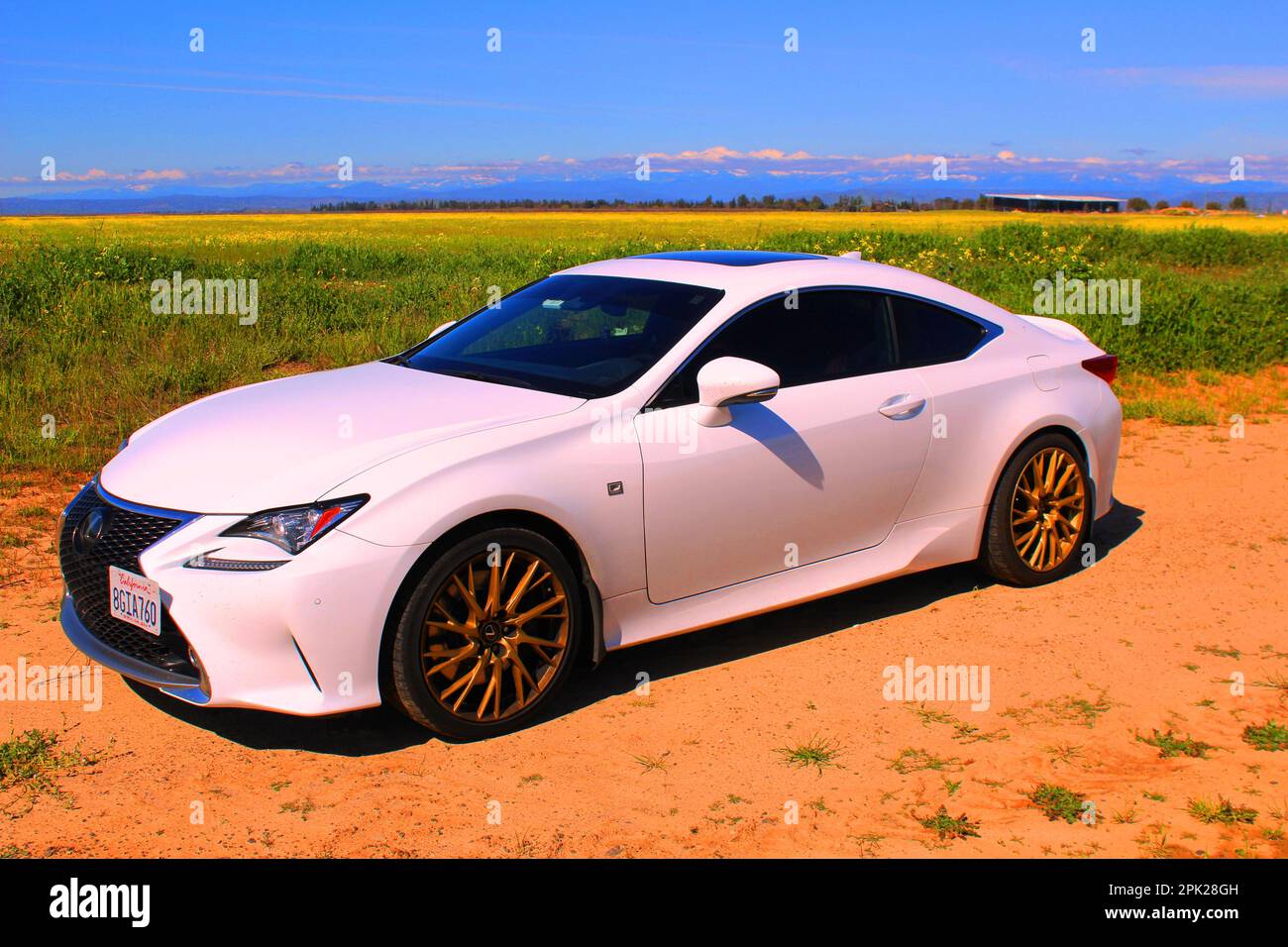 Daily Driven Exotics Stock Photo - Alamy