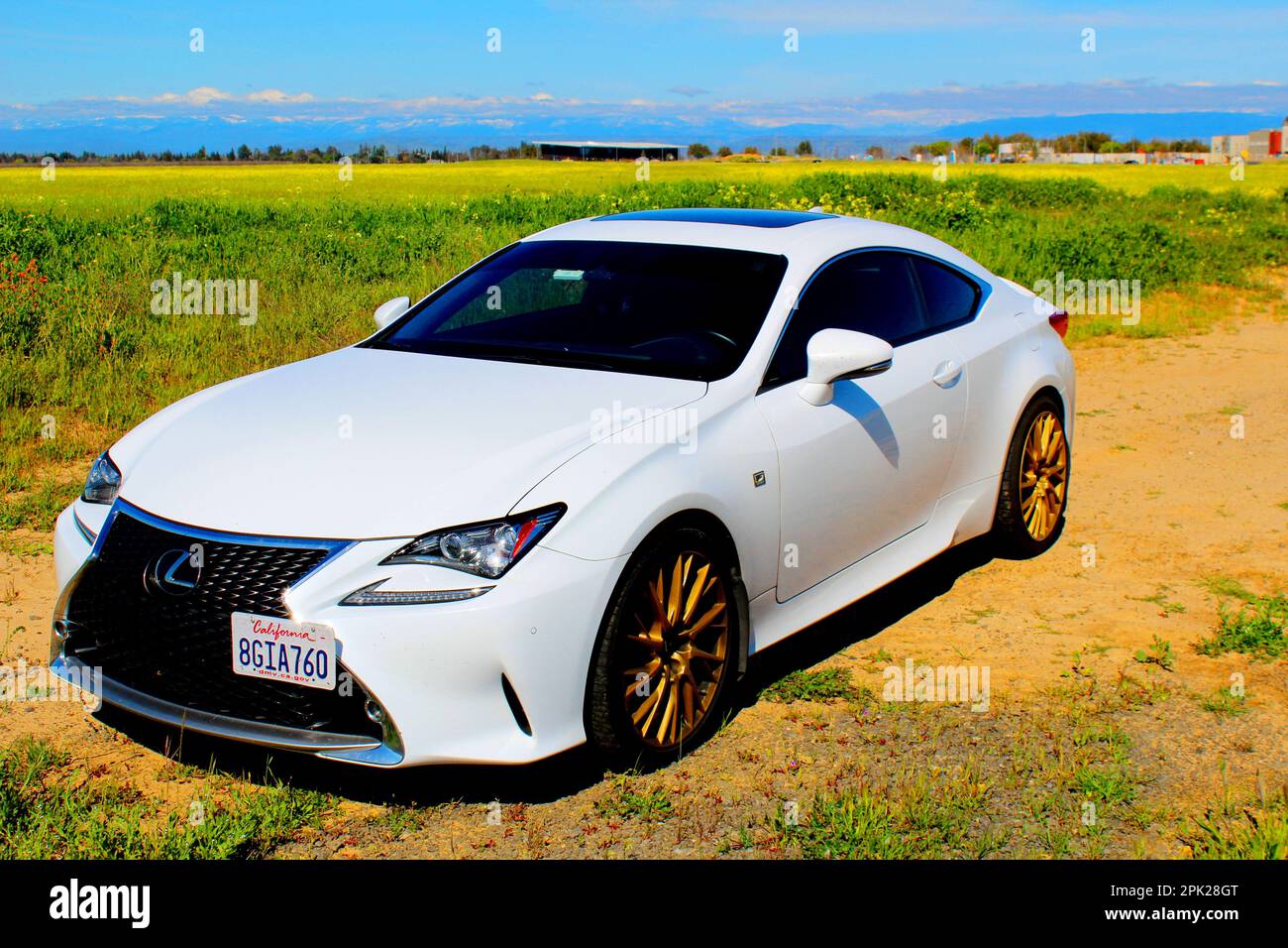 Daily Driven Exotics Stock Photo - Alamy