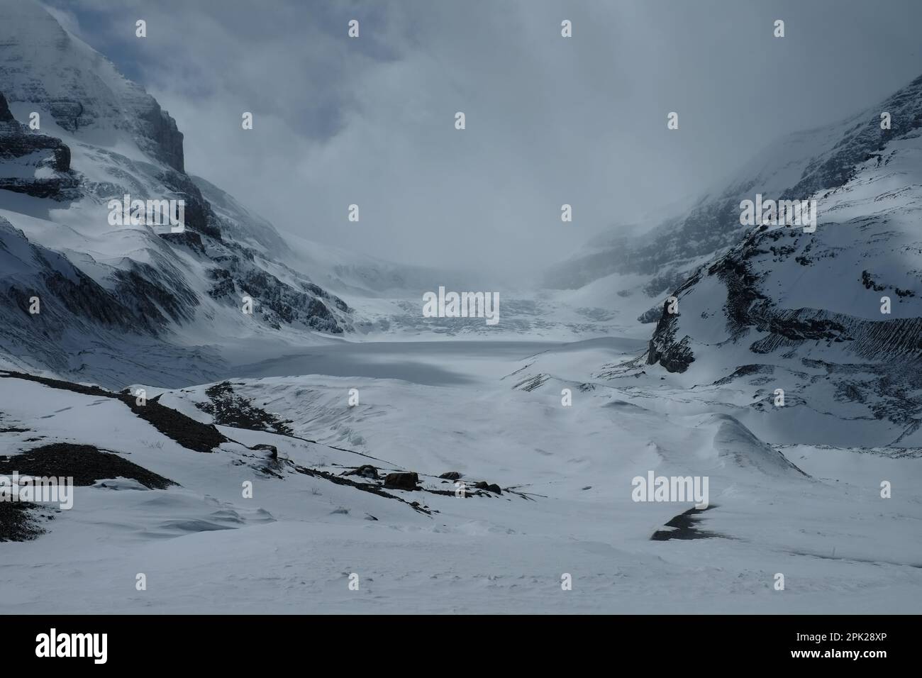 Columbia Icefield, Icefields Parkway, Alberta Stock Photo - Alamy Columbia Icefield, Icefields Parkway, Alberta Stock Photo - Alamy