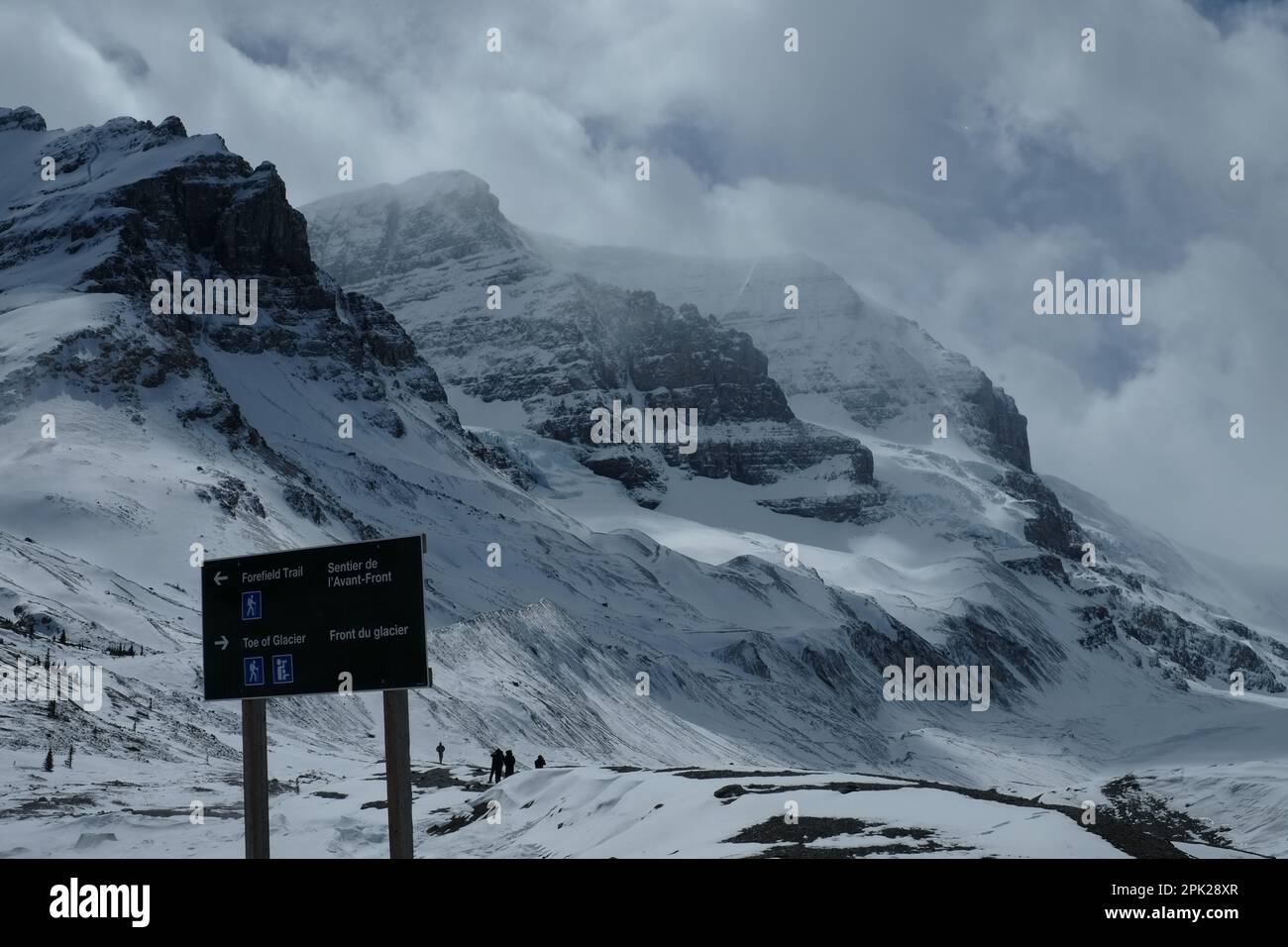 Columbia Icefield, Icefields Parkway, Alberta Stock Photo - Alamy Columbia Icefield, Icefields Parkway, Alberta Stock Photo - Alamy