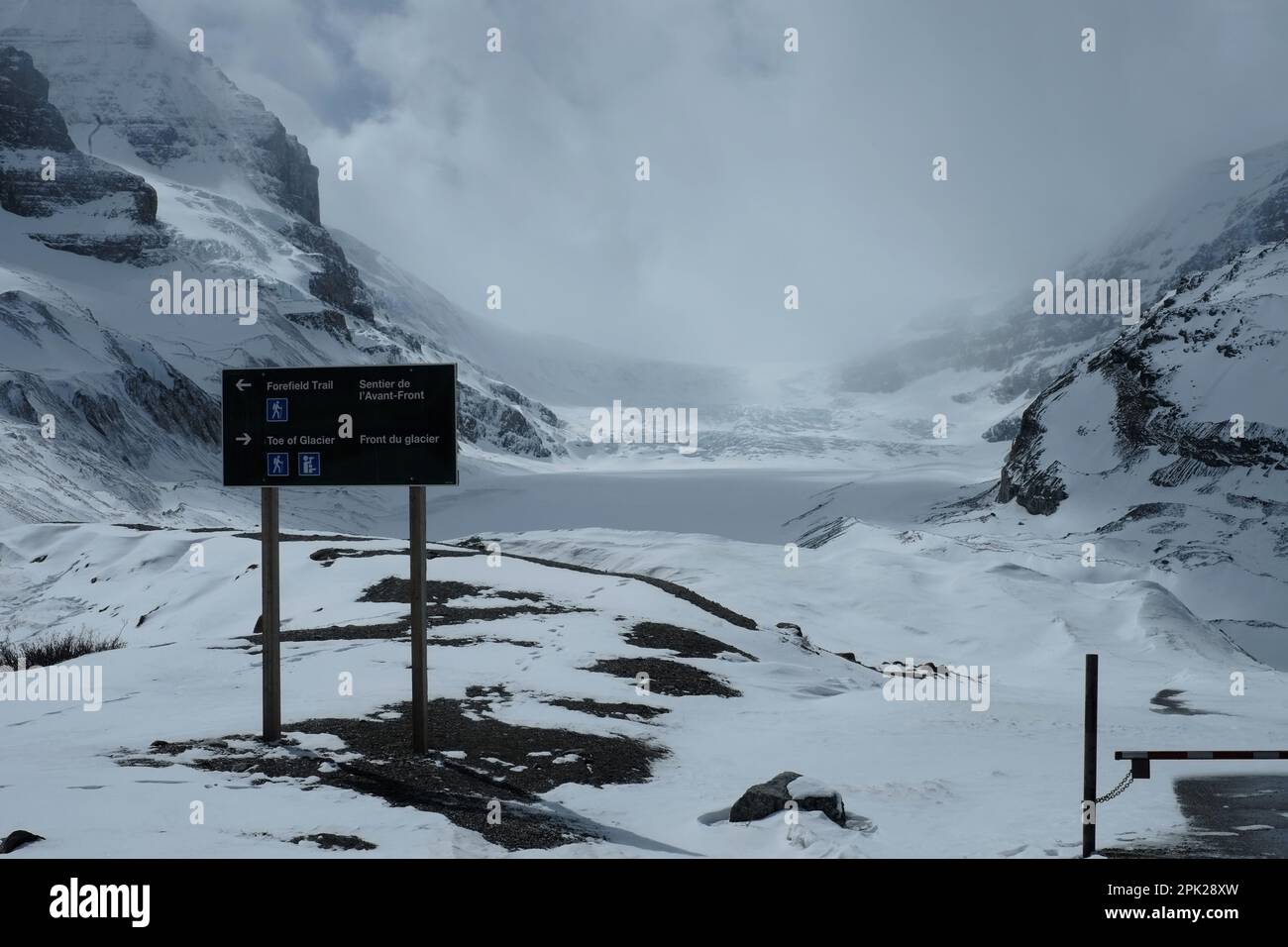 Columbia Icefield, Icefields Parkway, Alberta Stock Photo - Alamy Columbia Icefield, Icefields Parkway, Alberta Stock Photo - Alamy