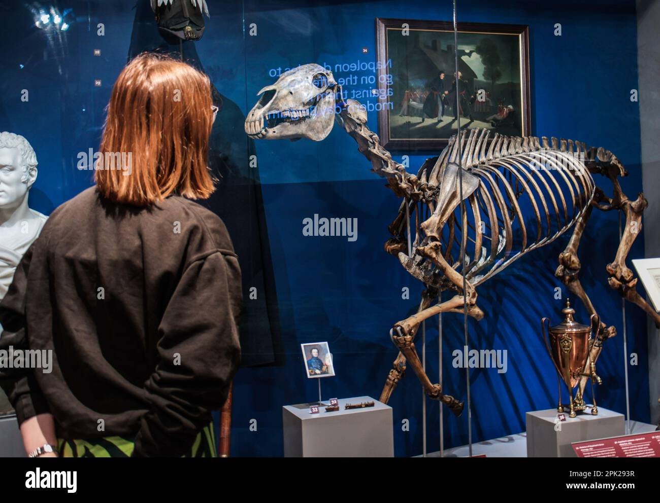 London, UK. 5th Apr, 2023. The skeleton of Marengo, Napoleon's horse ...