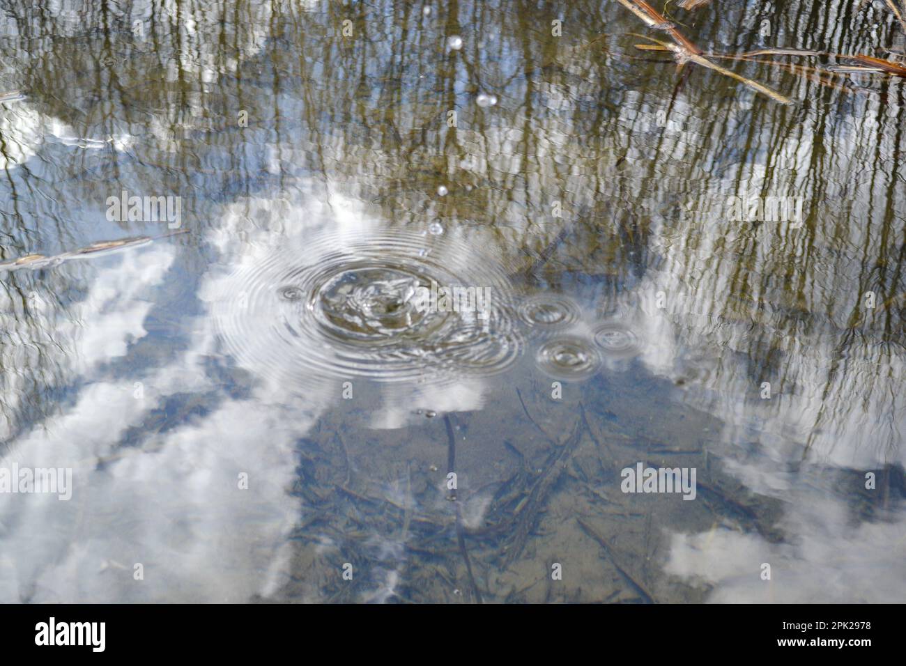 The unique image and ripple that occurs when an object is thrown into ...