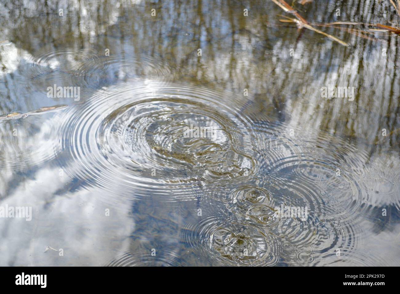 The unique image and ripple that occurs when an object is thrown into ...