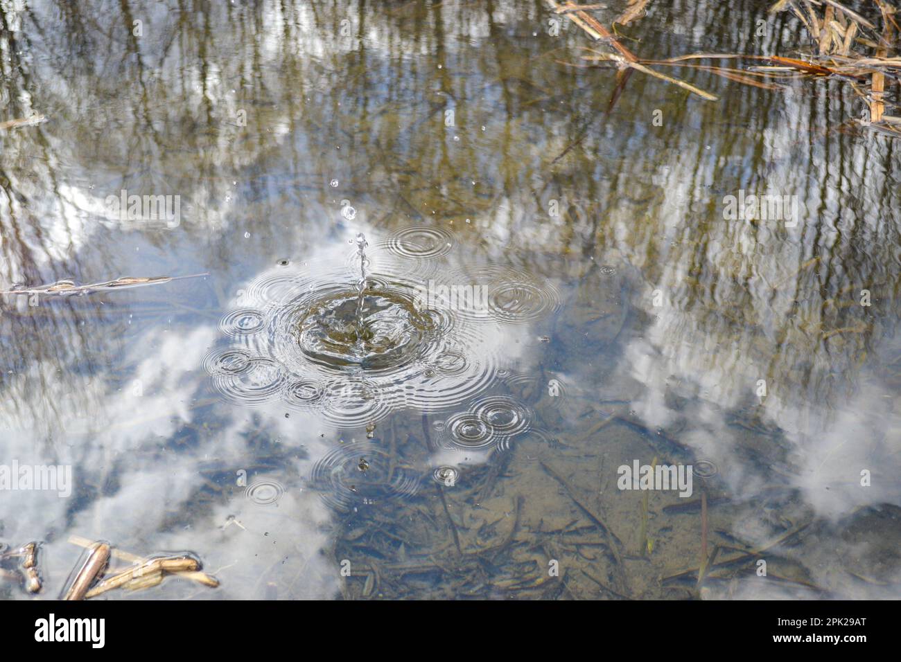The unique image and ripple that occurs when an object is thrown into ...