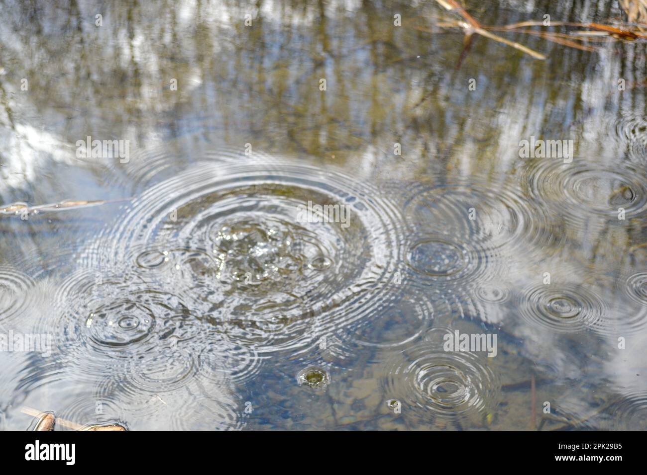 The unique image and ripple that occurs when an object is thrown into ...