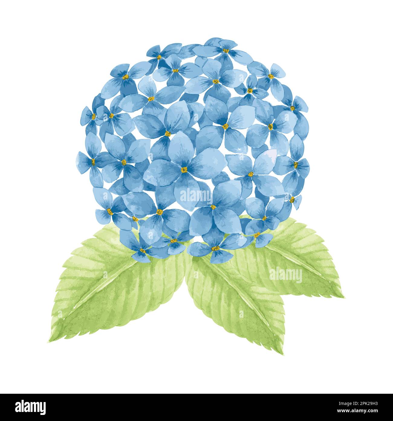 Blue Hydrangea Border Clip Art