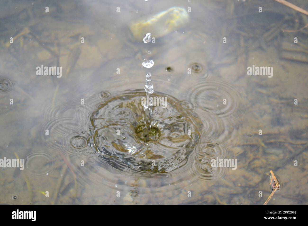 The unique image and ripple that occurs when an object is thrown into ...