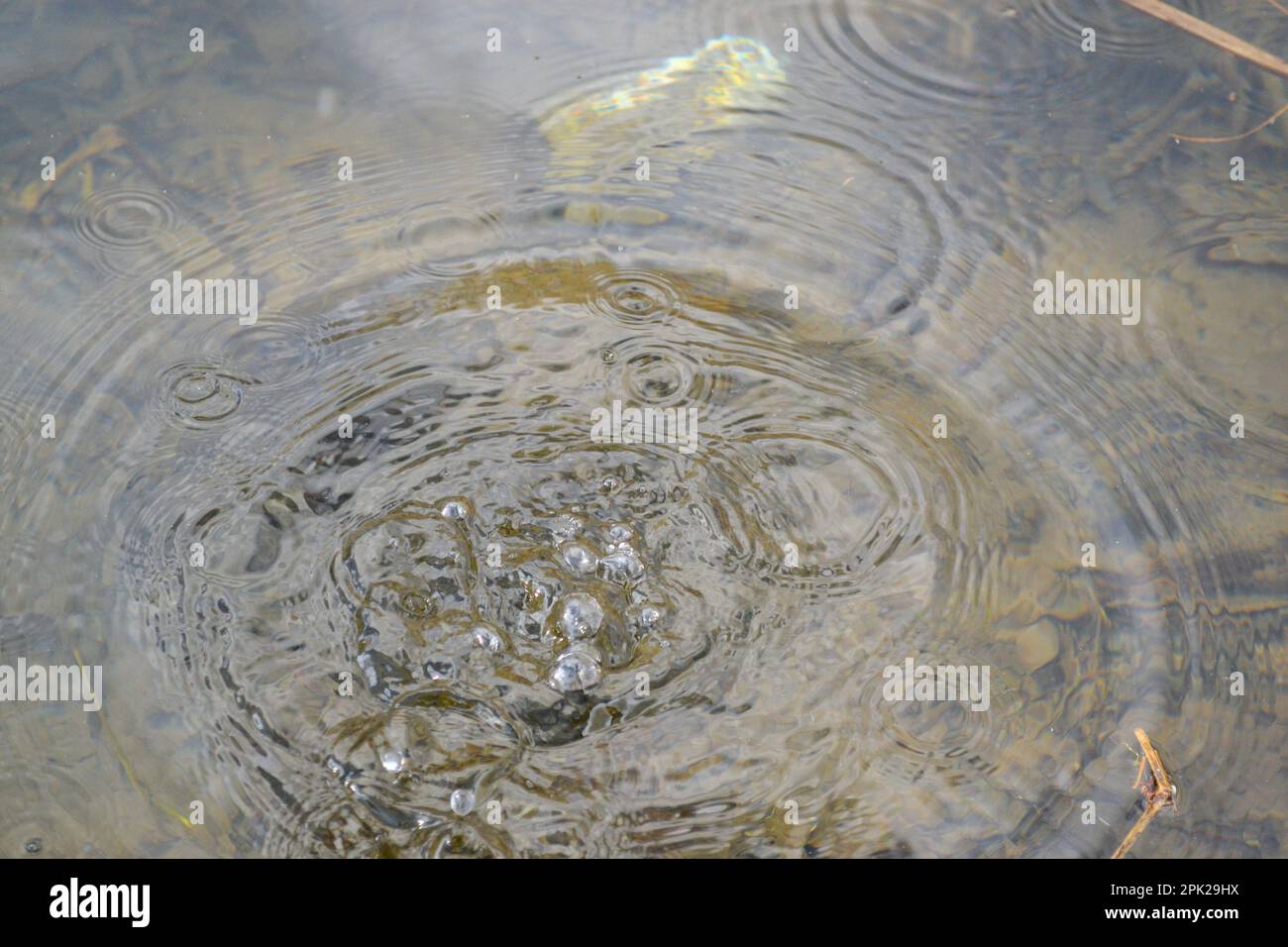 The unique image and ripple that occurs when an object is thrown into ...