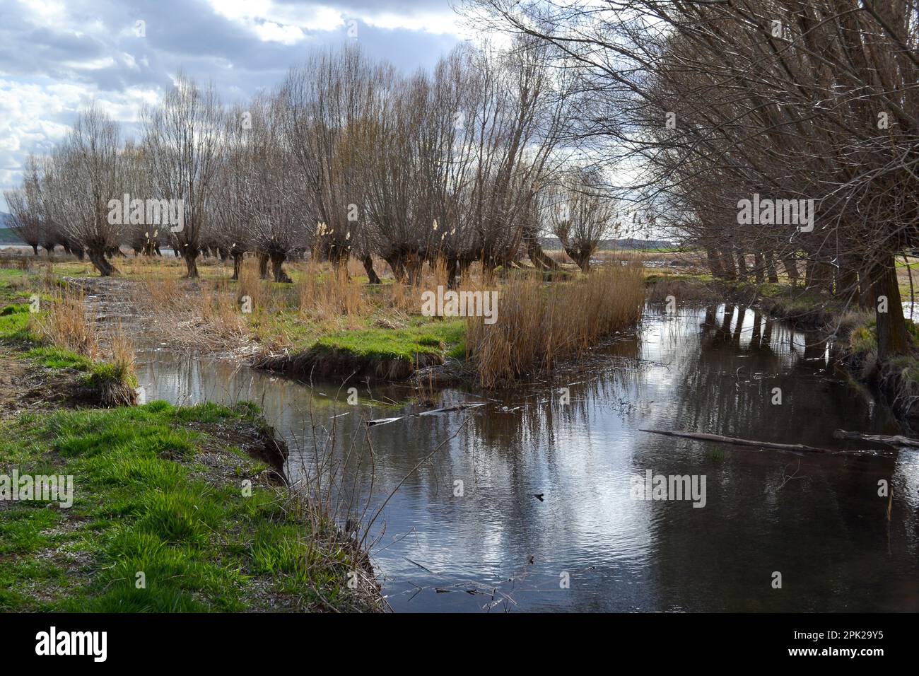 The glittering image of old trees reflected in a stream flowing in two ...
