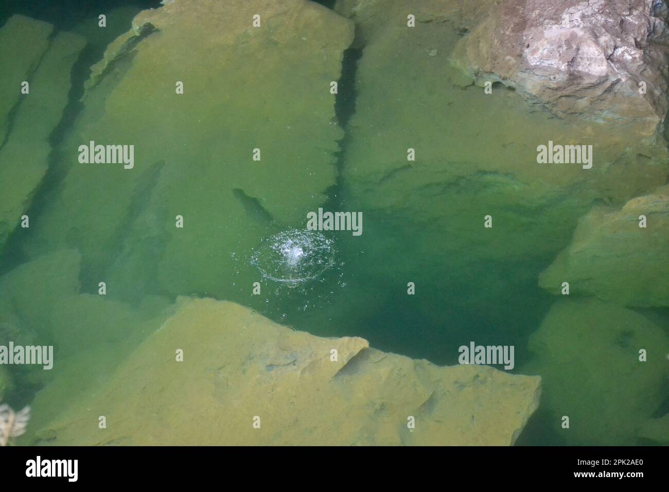 Interference pattern wave hi-res stock photography and images - Alamy