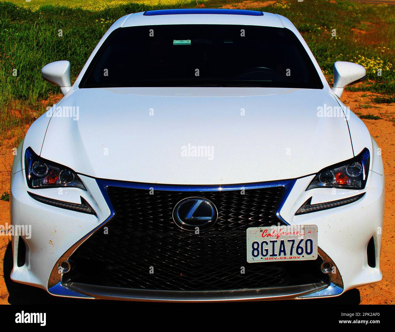 A Lexus Modeling in Spring Stock Photo - Alamy