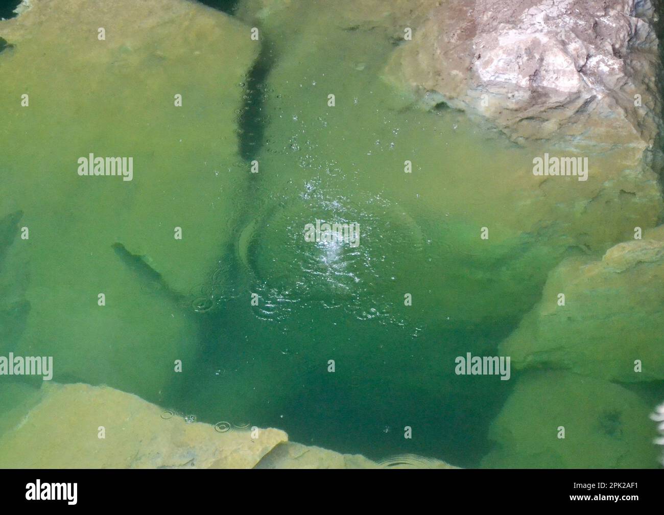 The unique image and ripple that occurs when an object is thrown into ...