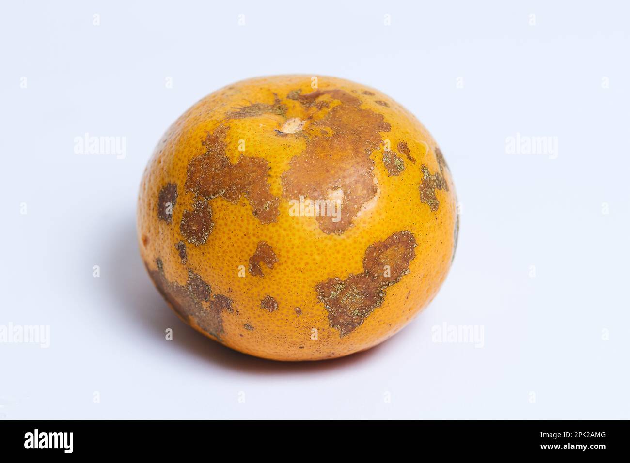 Orange with imperfect skin on white isolated background Stock Photo - Alamy