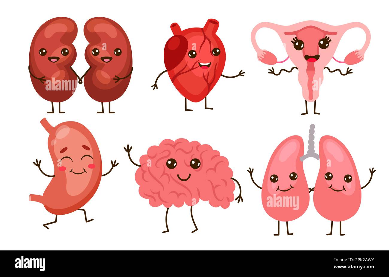 Happy comic internal human organs flat vector illustrations set Stock ...