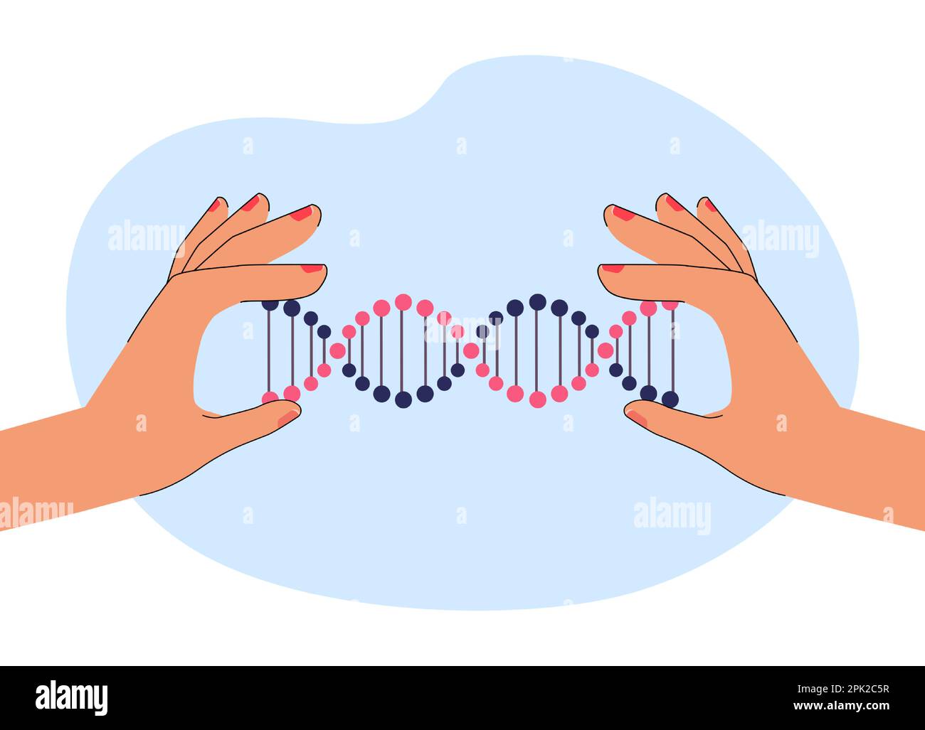 Hand holding dna model hi-res stock photography and images - Alamy