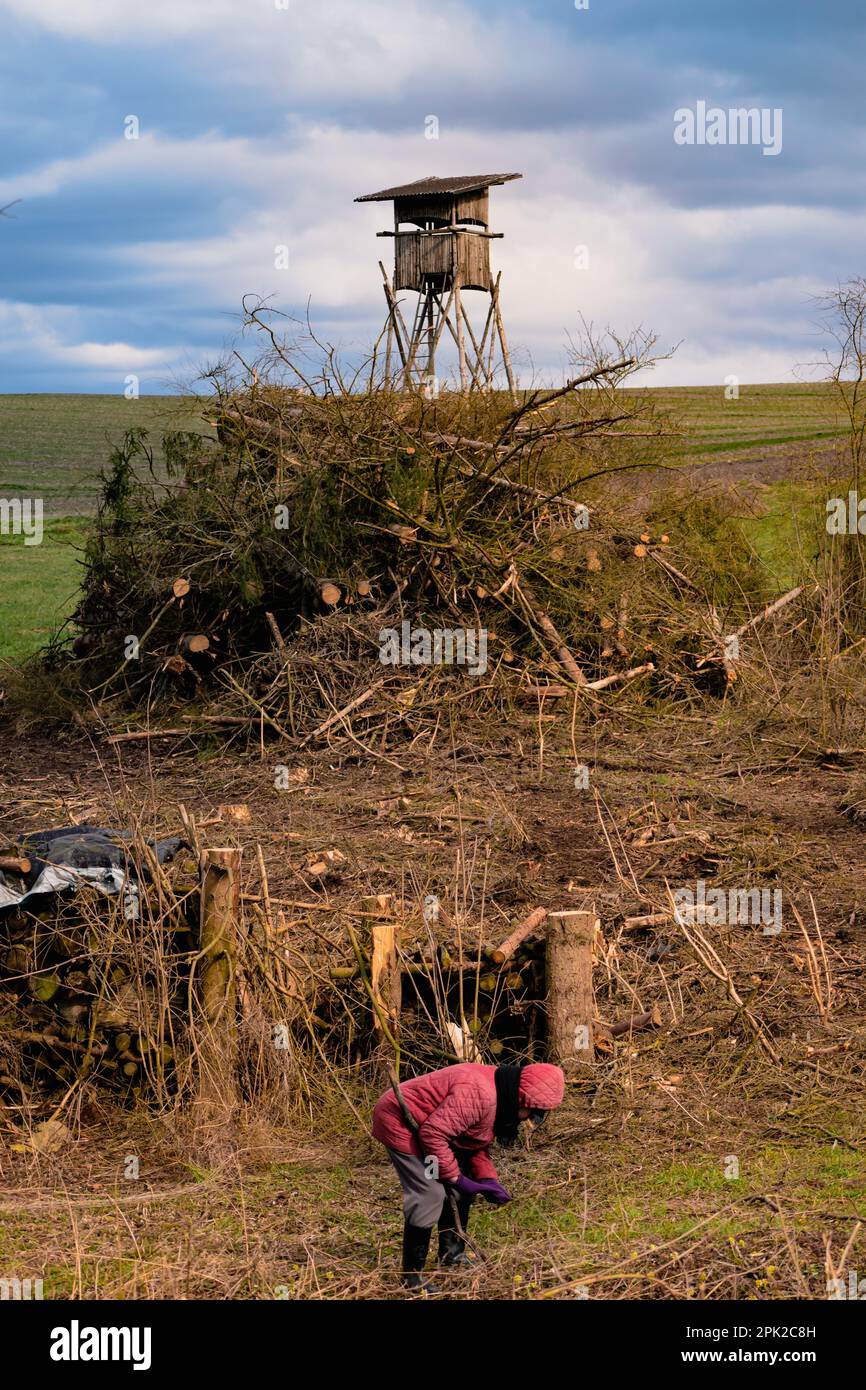 Deforestation scene with a wooden hunting tower in rural landscape ...