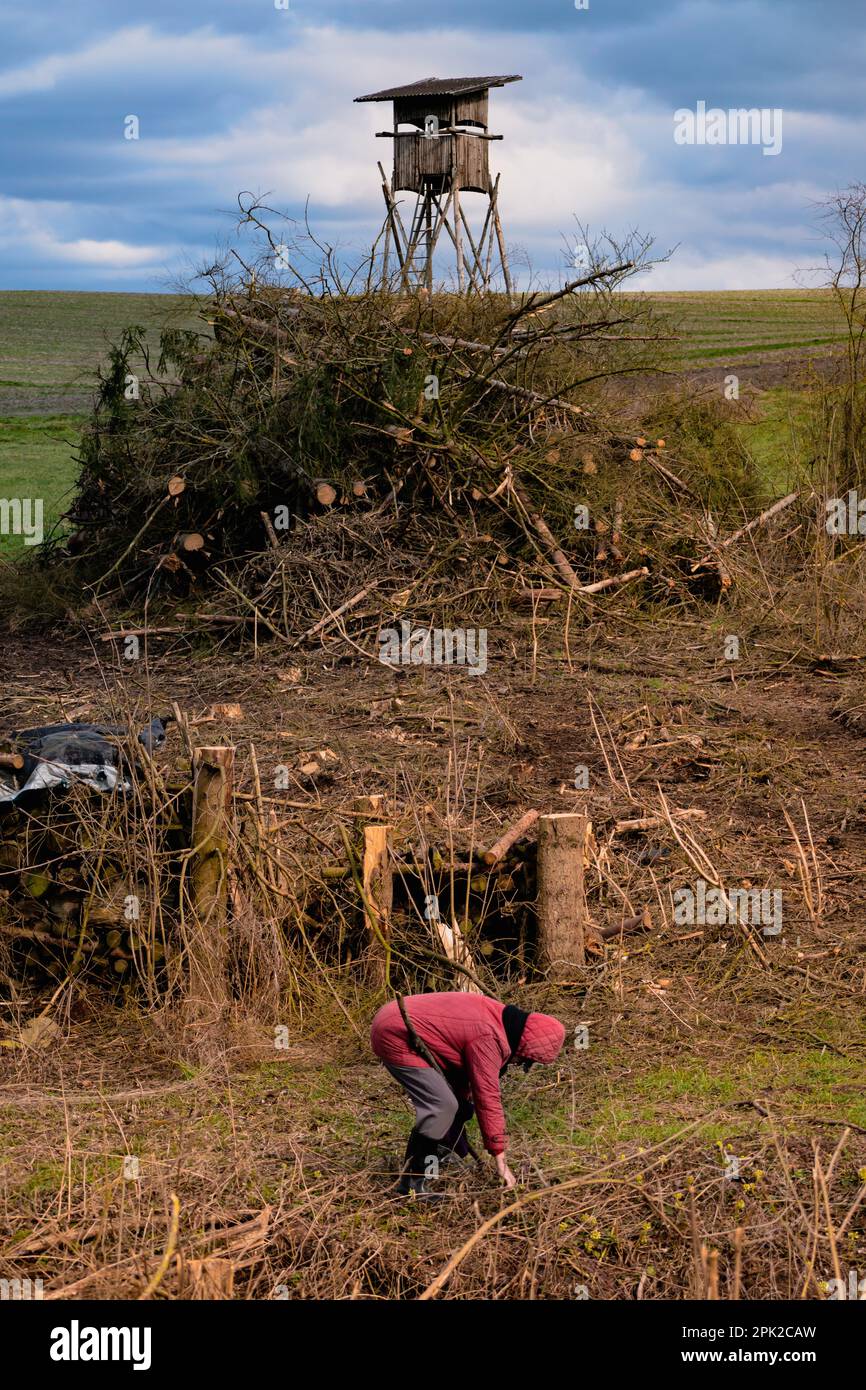Deforestation scene with a wooden hunting tower in rural landscape ...
