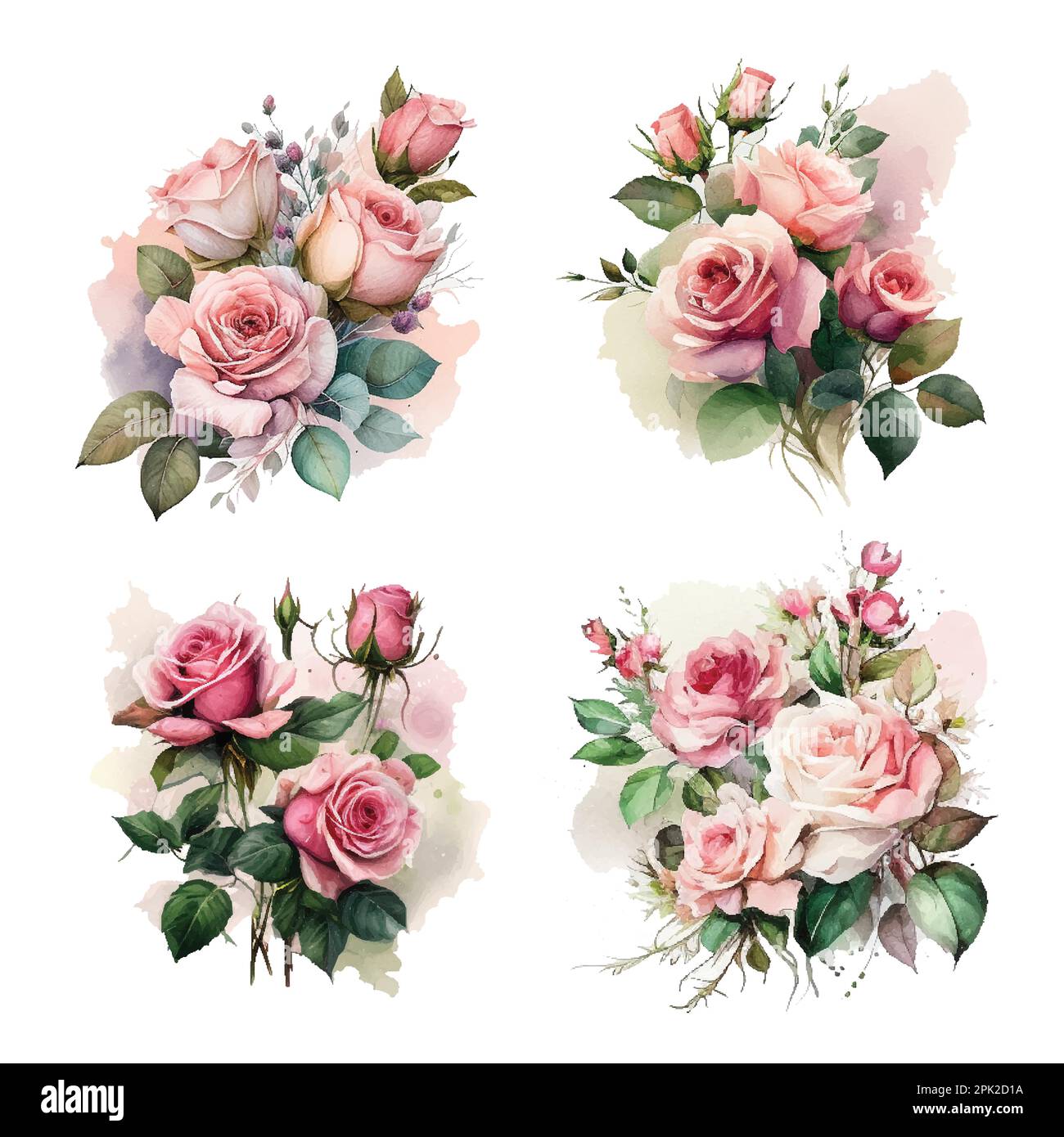 Dusty pink blush, white and creamy rose flowers vector design wedding ...