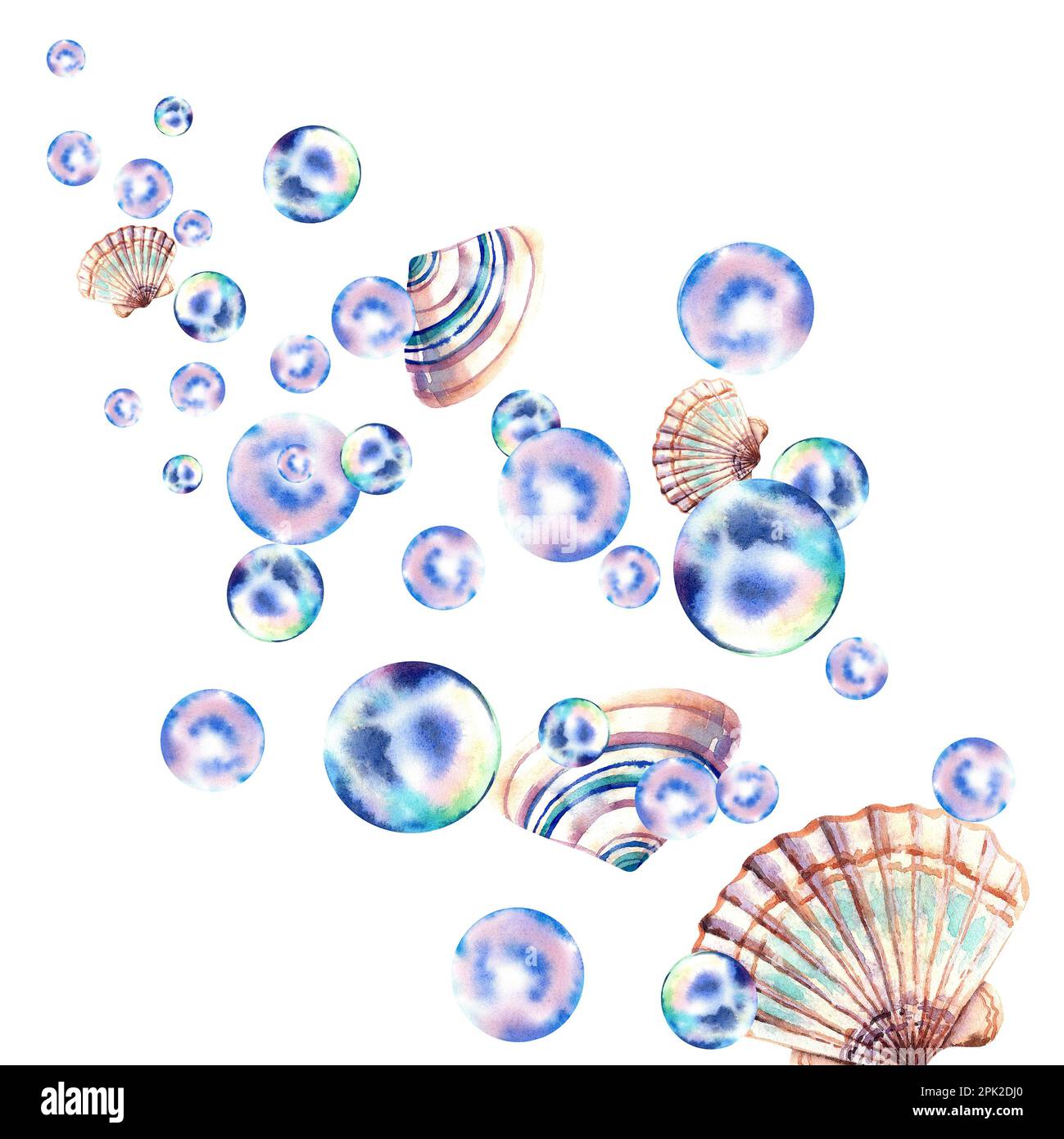 Soap bubbles and seashells on an isolated background. Watercolor ...