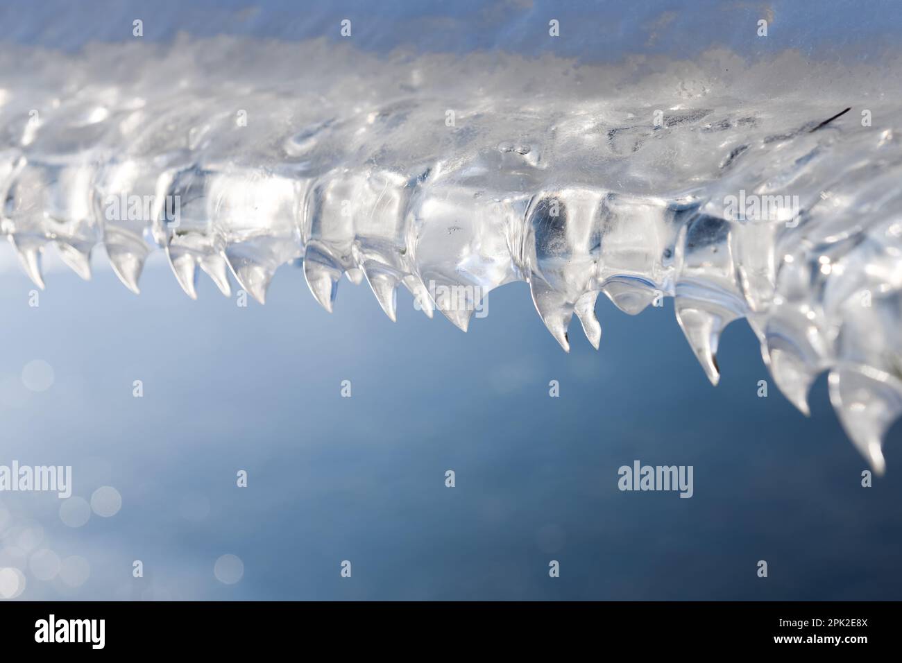 Fangs... Ice formations, ice teeth, ice claws ( winter flood 2020/2021 ...