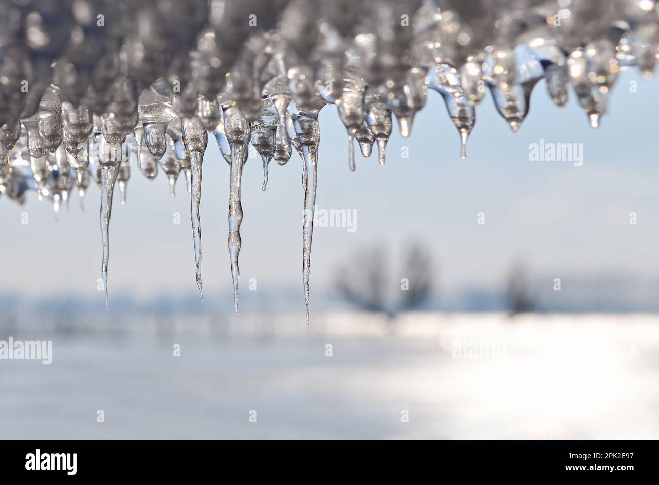 Ice age... Icicle * Winter flood 2020/2021 *, thawing ice plate on a ...