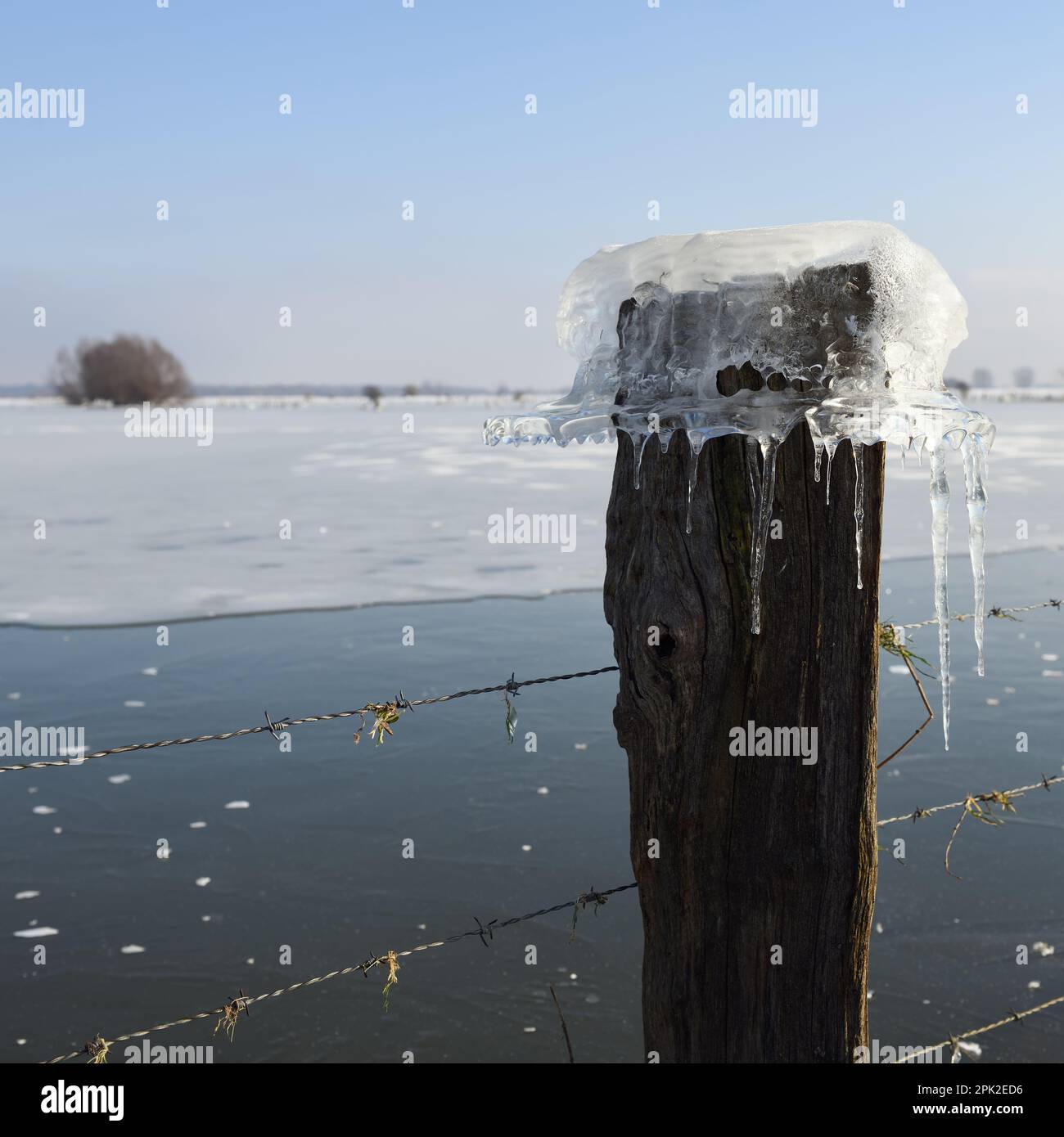 Ice cap on a fence post... Ice formation ( winter flood 2020/2021 ...