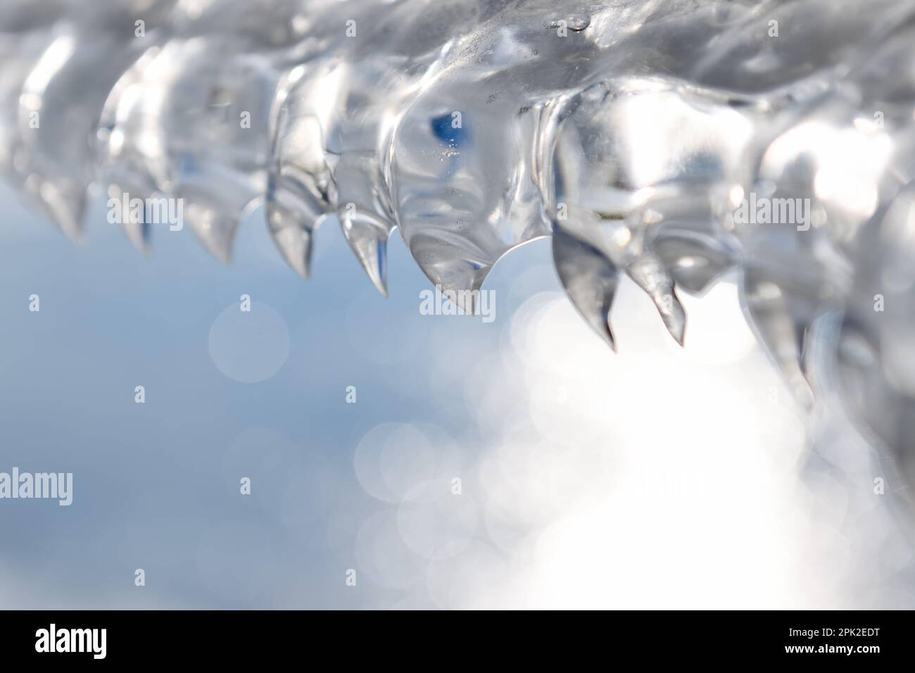 Shark teeth... Ice formations, ice claws ( winter flood 2020/2021 ...