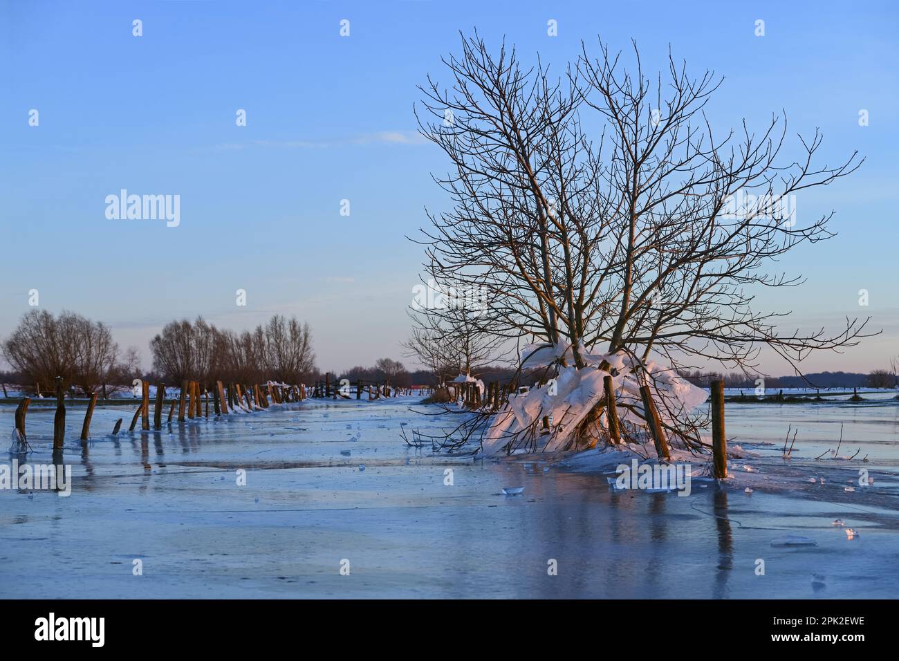 under water, ice age on the Bislicher Island... Winter mood ( Lower ...
