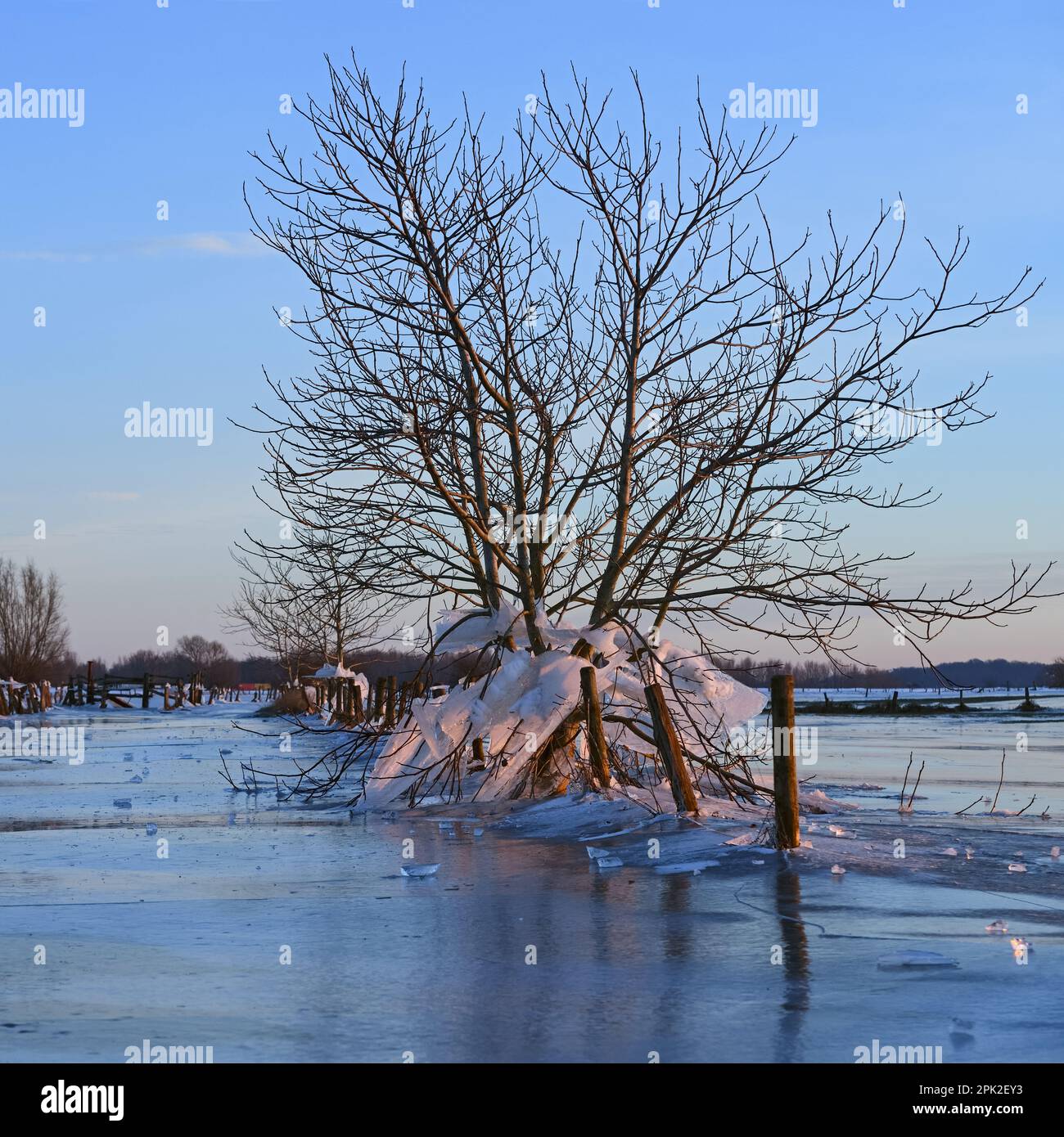 under water, ice age on the Bislicher Island... Winter mood ( Lower ...