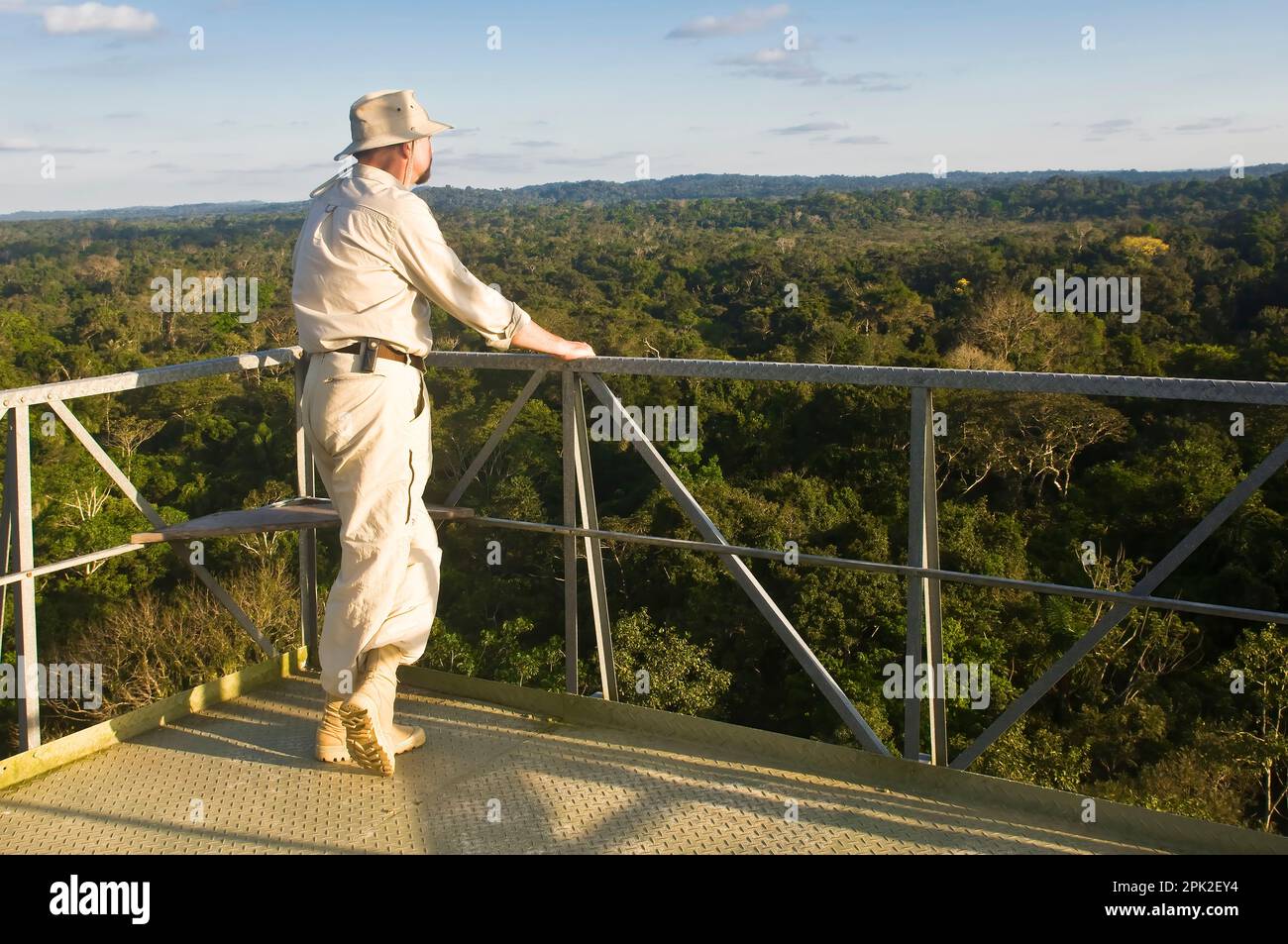 Alta Floreta, Man looking over the the Amazon forest from a canopy ...