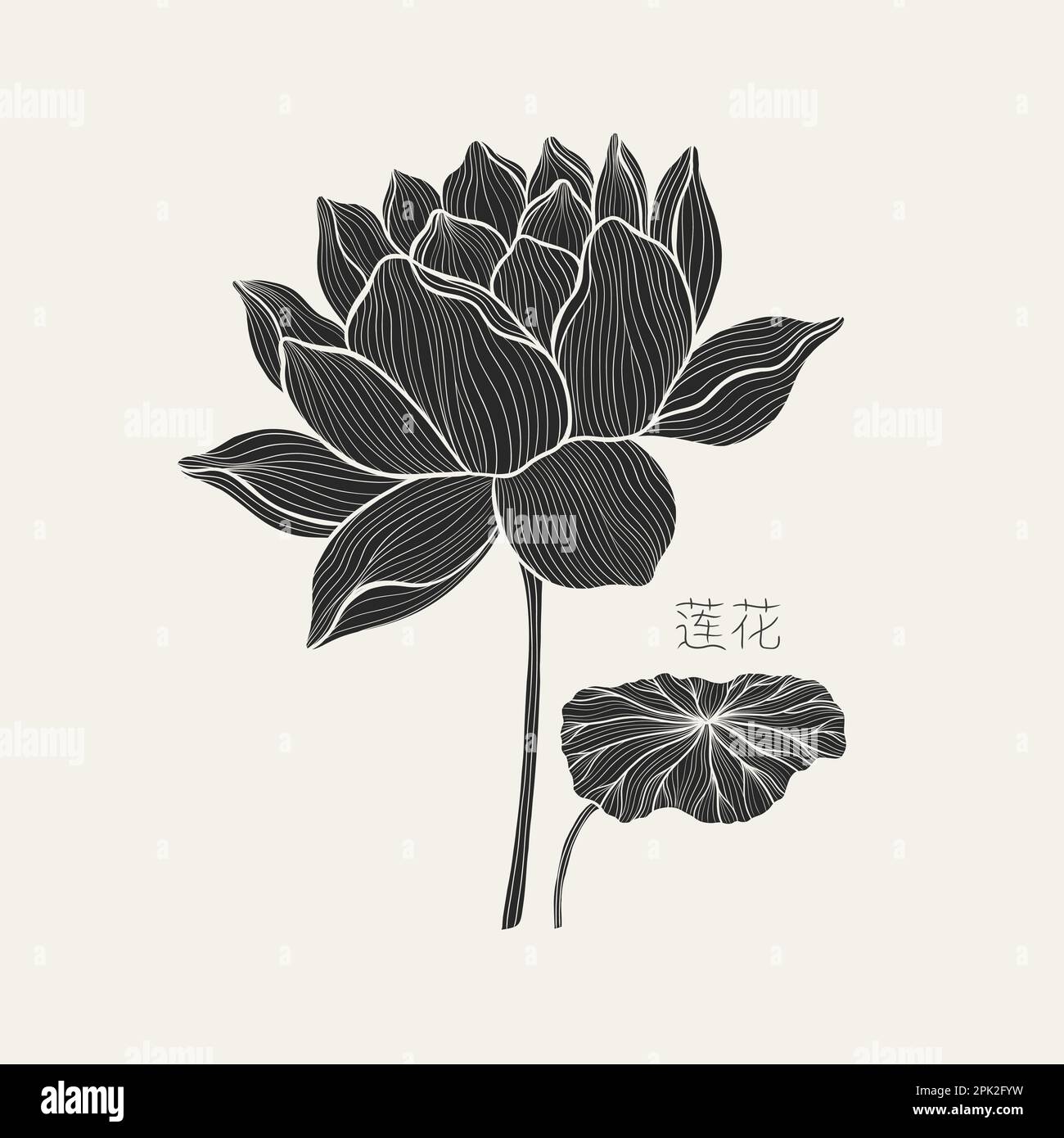 Freehand of a lotus with thin graceful lines . Lotus flower luxury ...