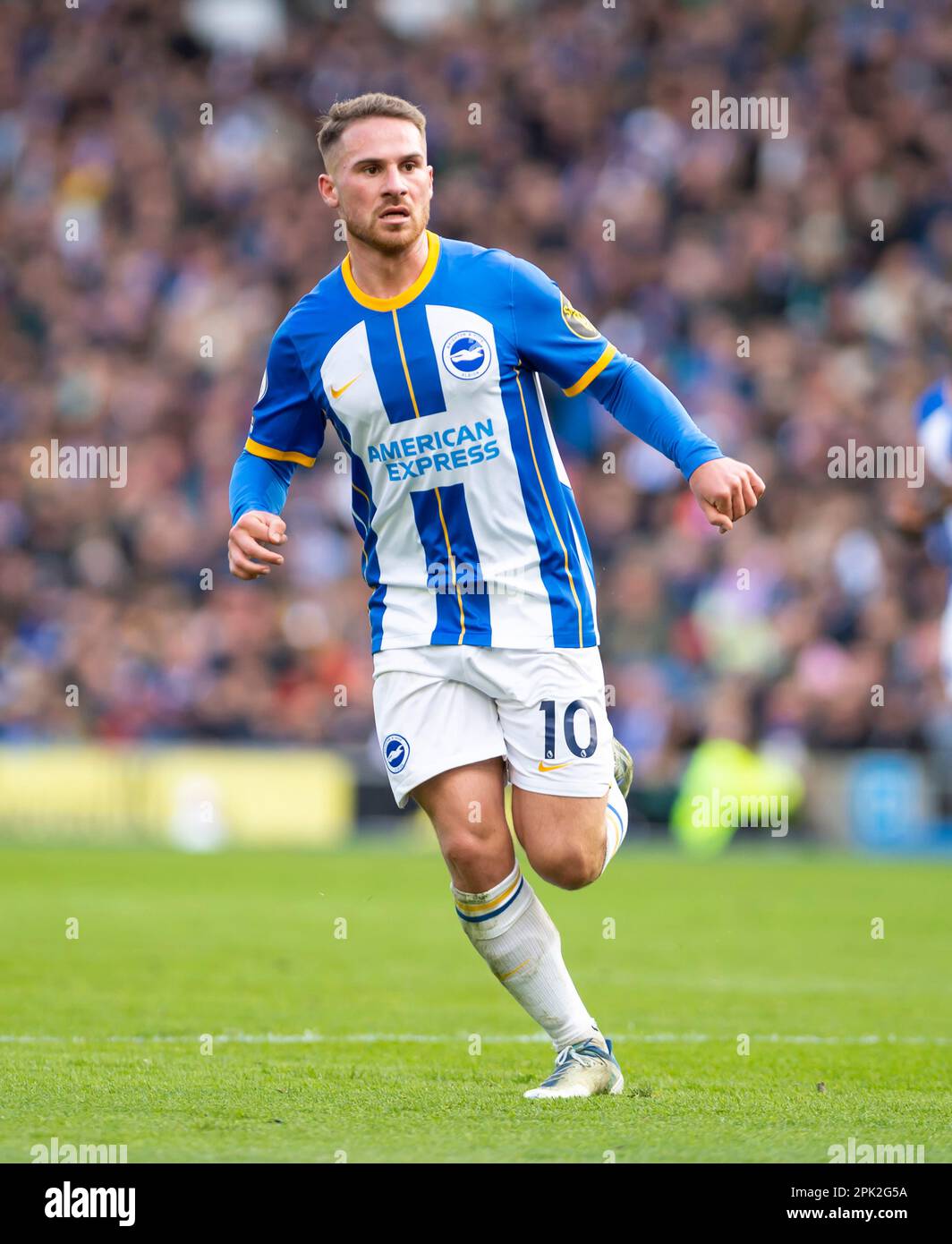 Alexis mac allister brighton and hove albion fc premiership team hi-res stock photography and ...