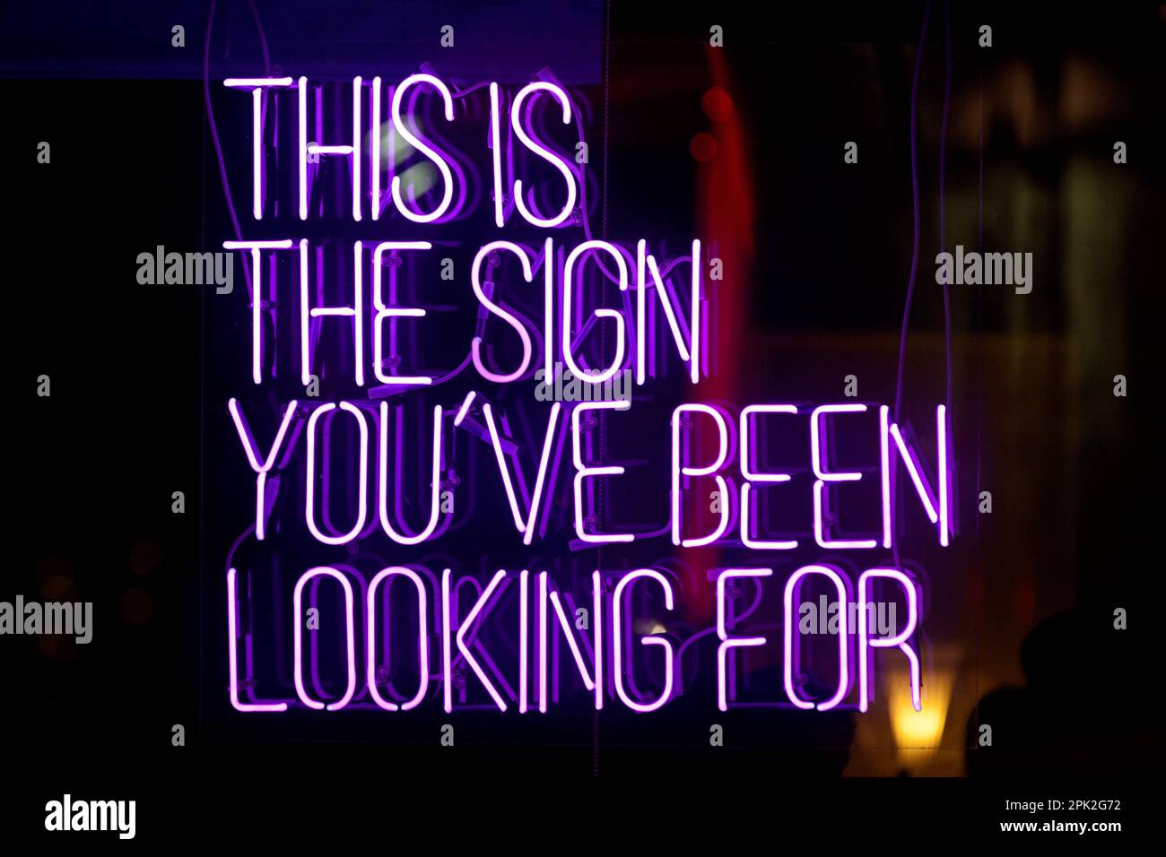 Purple neon in the window of a bar saying "This is the sign you've been ...